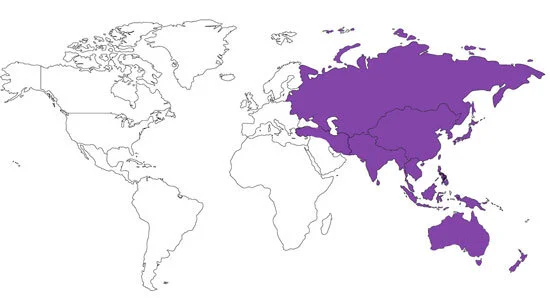 Regional Work — Major Group for Children and Youth