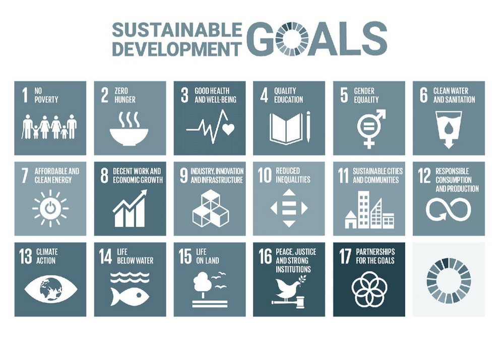 Major Group for Children and Youth