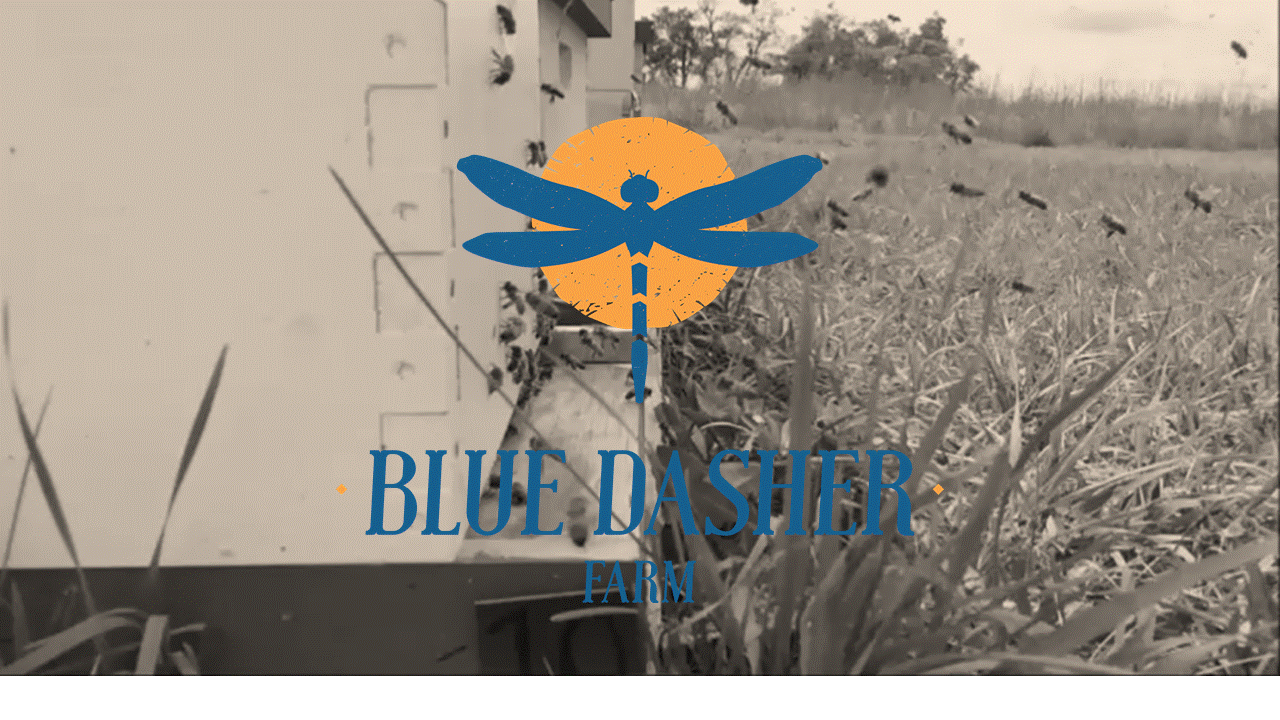 Blue Dasher Farm