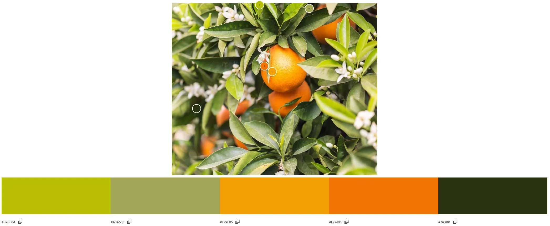 Citrus Colors For A Kitchen