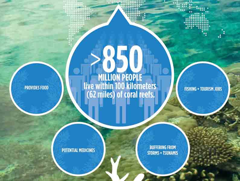 Why Protect Coral Reefs | Reefs for Life Explains the Urgency — Reefs ...