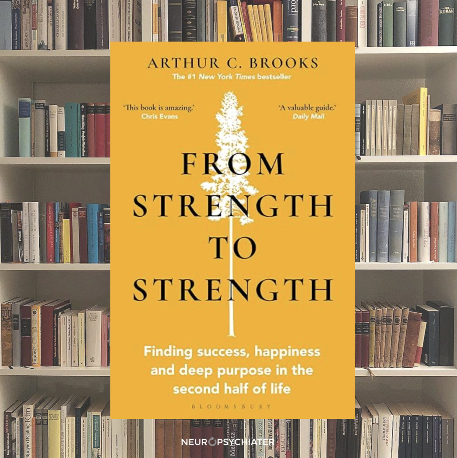 "From Strength to Strength: Finding success, happiness and deep purpose ...