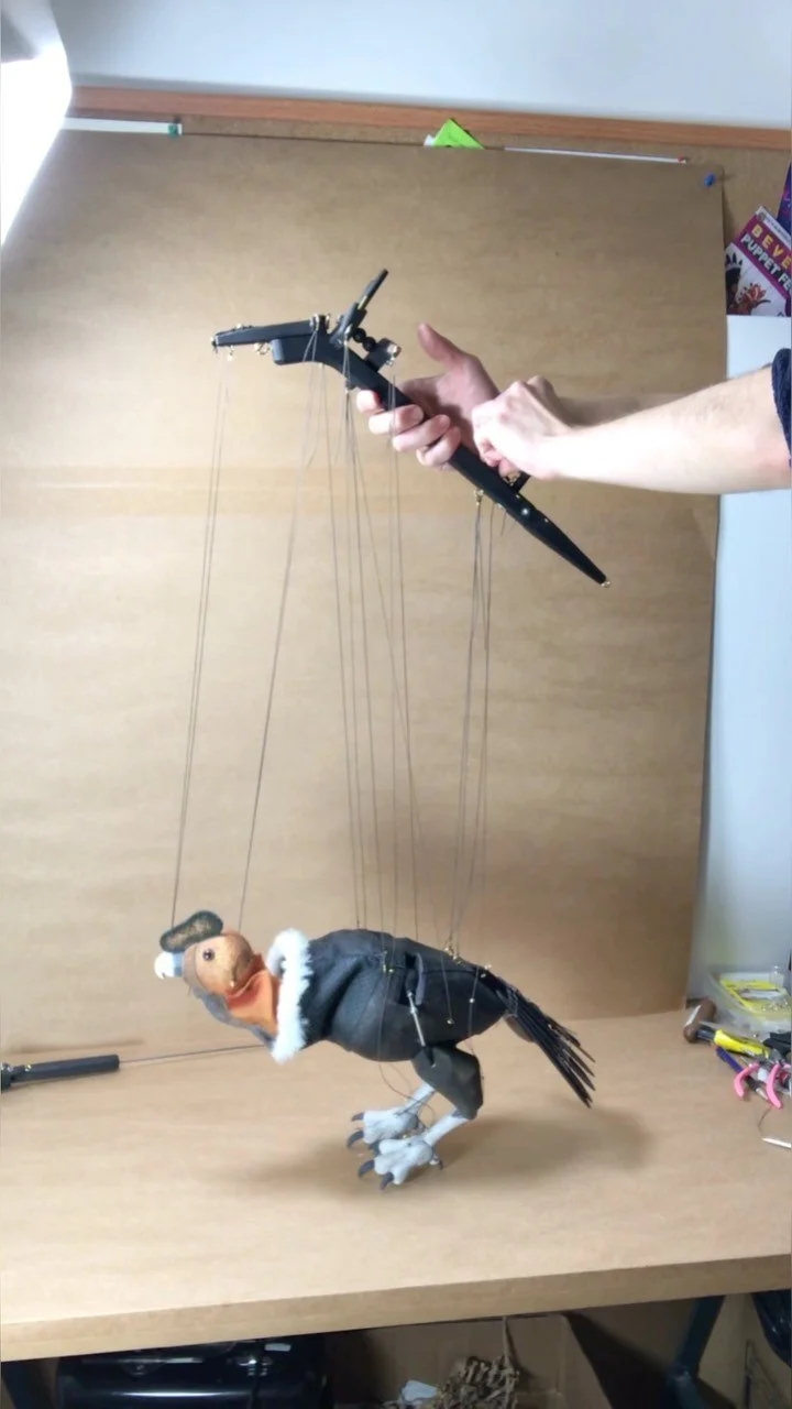 Bird Marionettes (2020) — Sarah Vigars Art