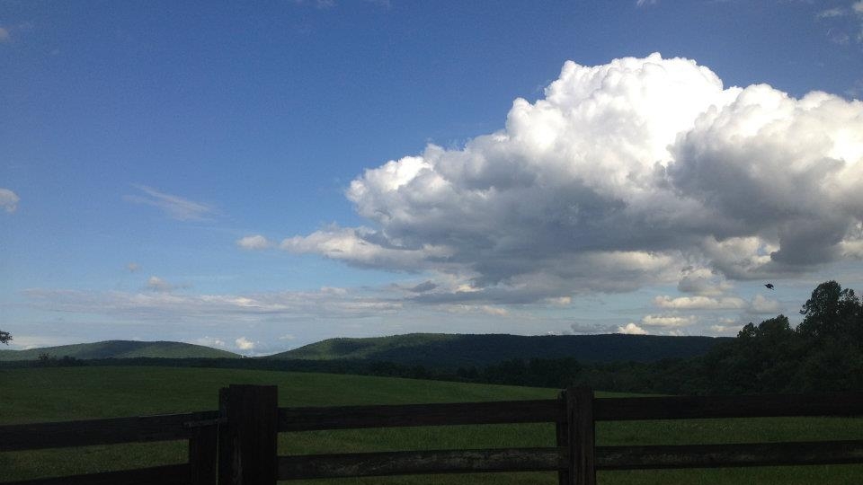 Contact Us — Oak Ridge Estate & Farm