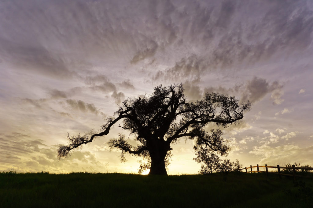 Crazy Nature Photography