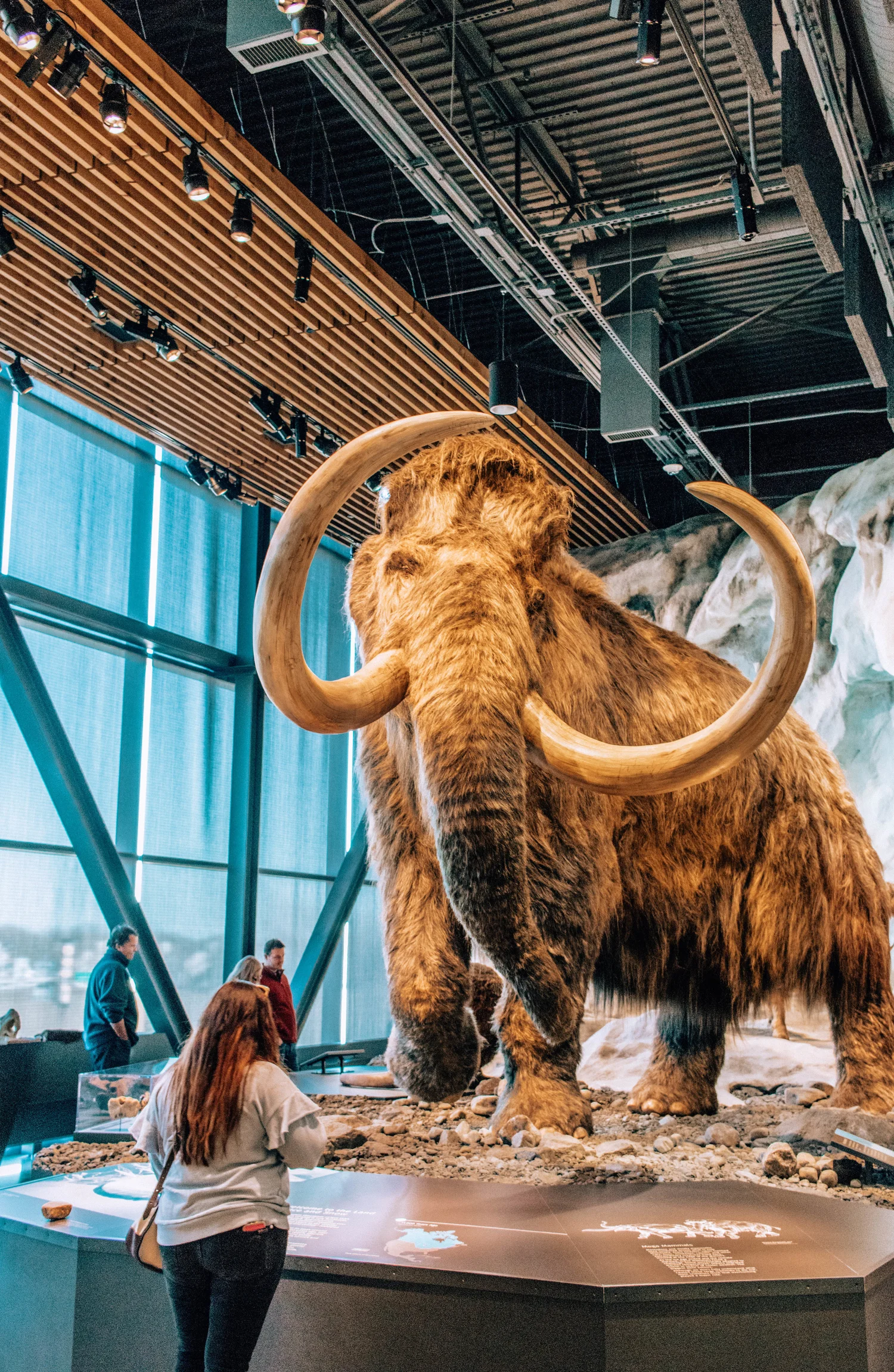 Exploring Nature's History at the Bell Museum — GalavantGal