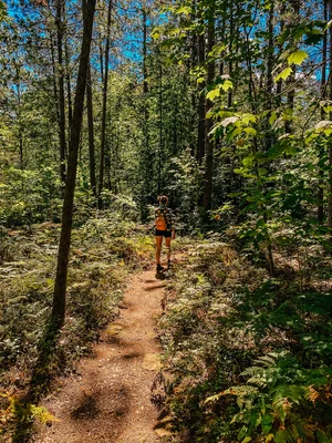 Big Spring Falls is the Hidden Gem You Didn’t Know You Were Missing ...