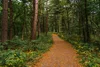 Hiking Near the Cities: Arcola Bluffs Day Use Area and William O’Brien ...