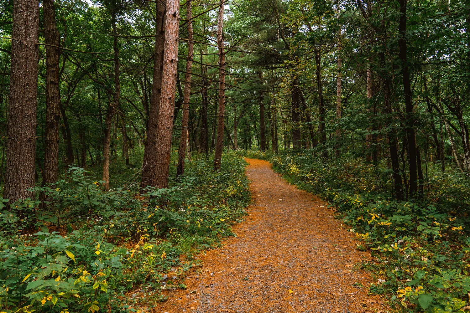 Hiking Near the Cities: Arcola Bluffs Day Use Area and William O’Brien ...