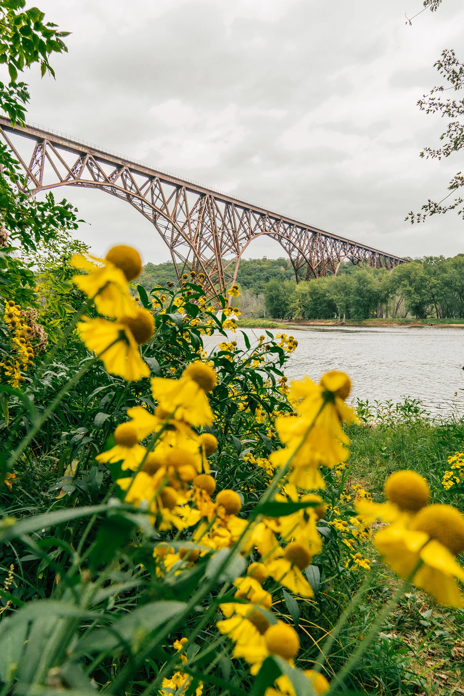 Hiking Near the Cities: Arcola Bluffs Day Use Area and William O’Brien ...