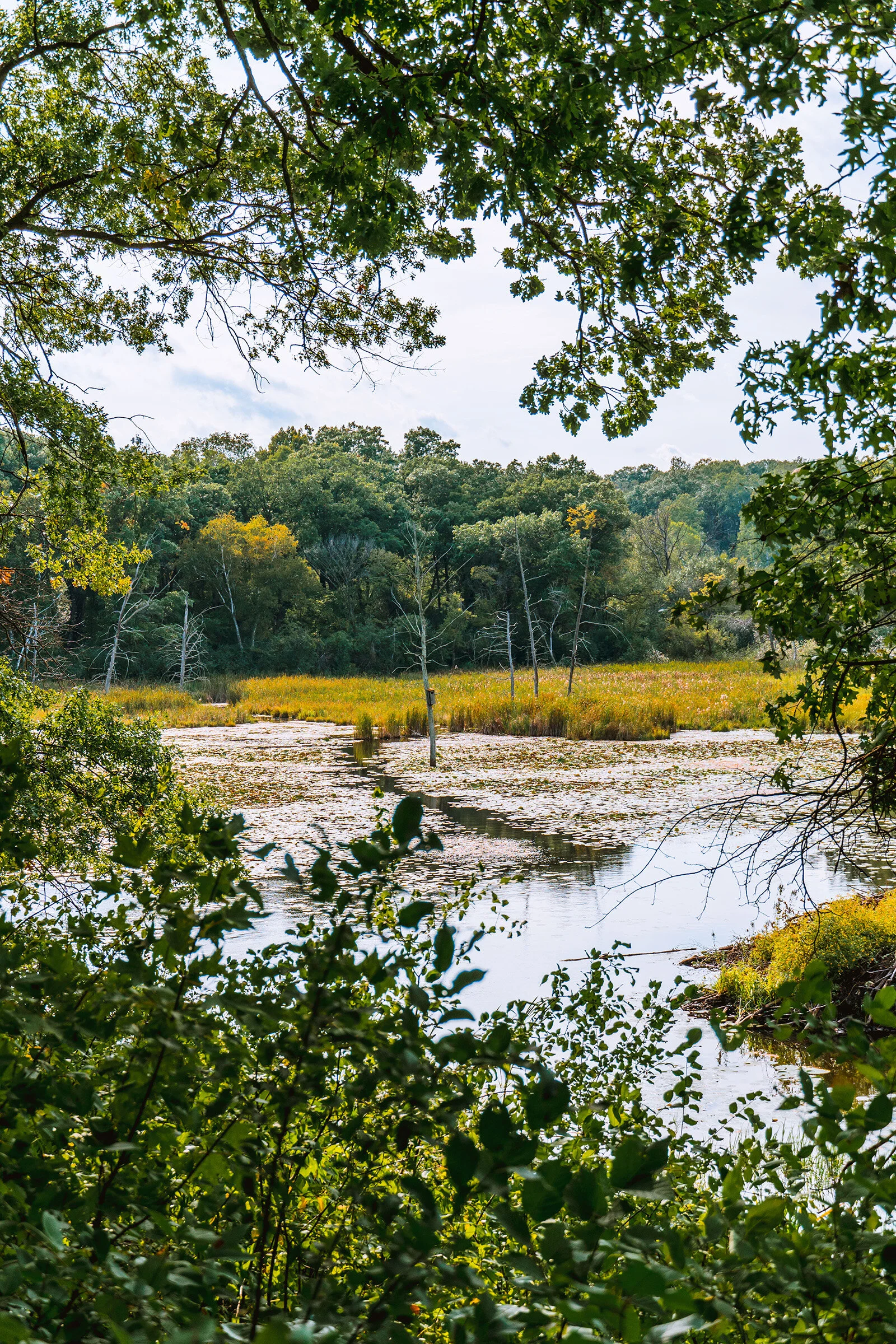 Hiking Near the Cities: Arcola Bluffs Day Use Area and William O’Brien ...