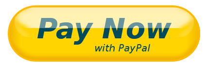 Paypal Pay Now Button Png