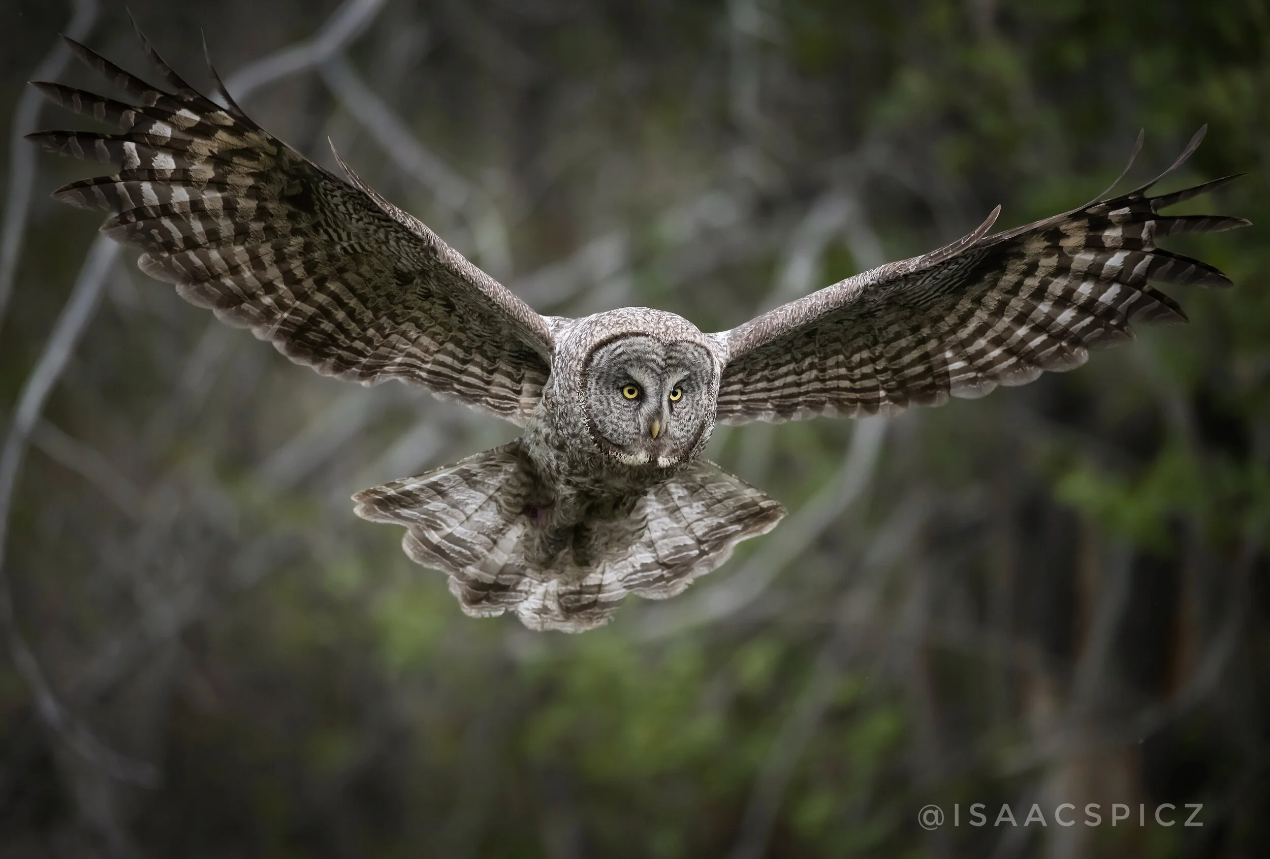Natures Best, Youth Photographer of the Year — Wild And Exposed Podcast