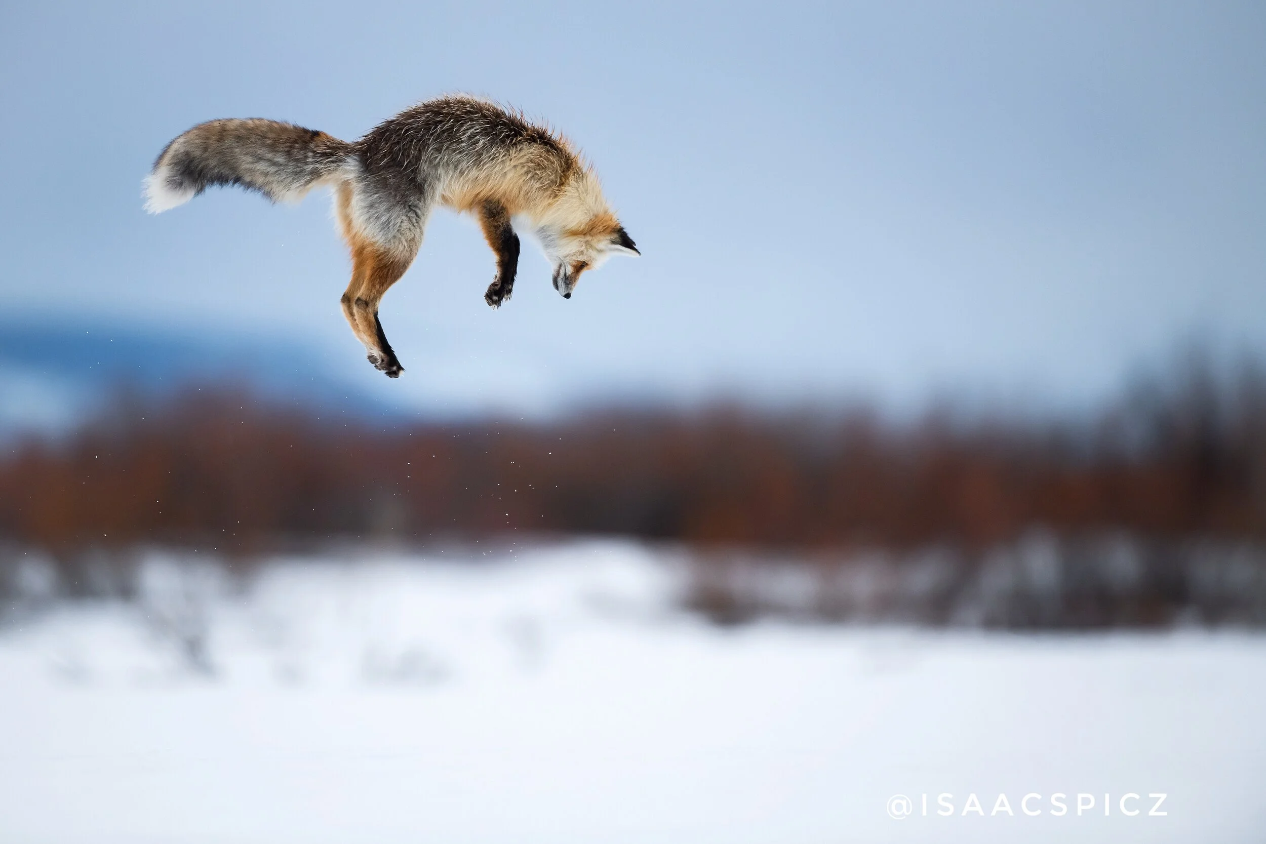 Natures Best, Youth Photographer of the Year — Wild And Exposed Podcast