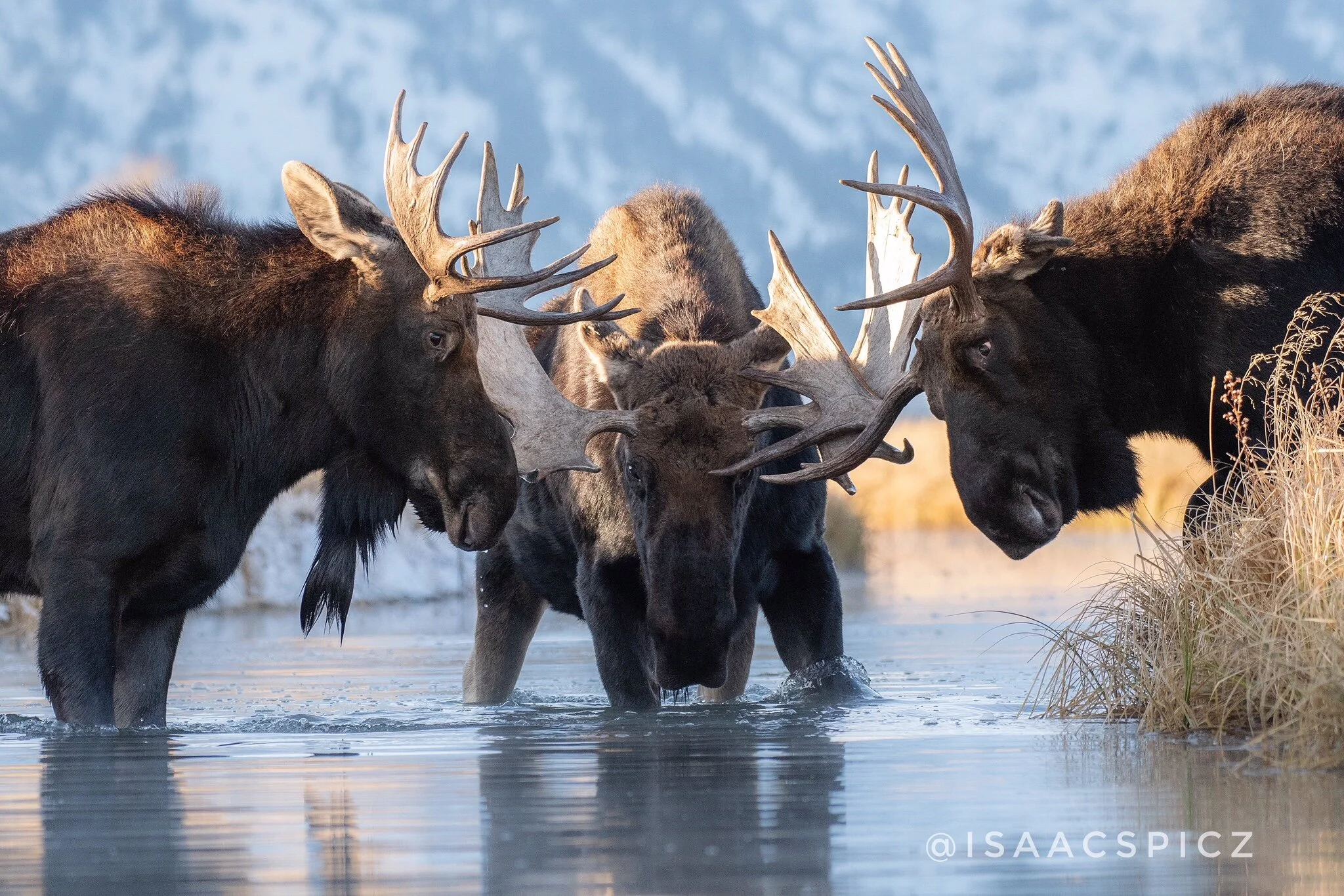 Natures Best, Youth Photographer of the Year — Wild And Exposed Podcast