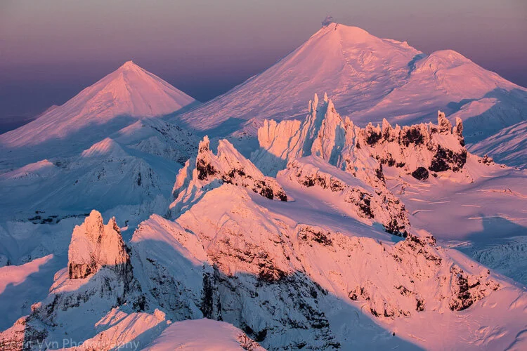 Information Overload with Award Winning Avian Photographer, Gerrit Vyn ...