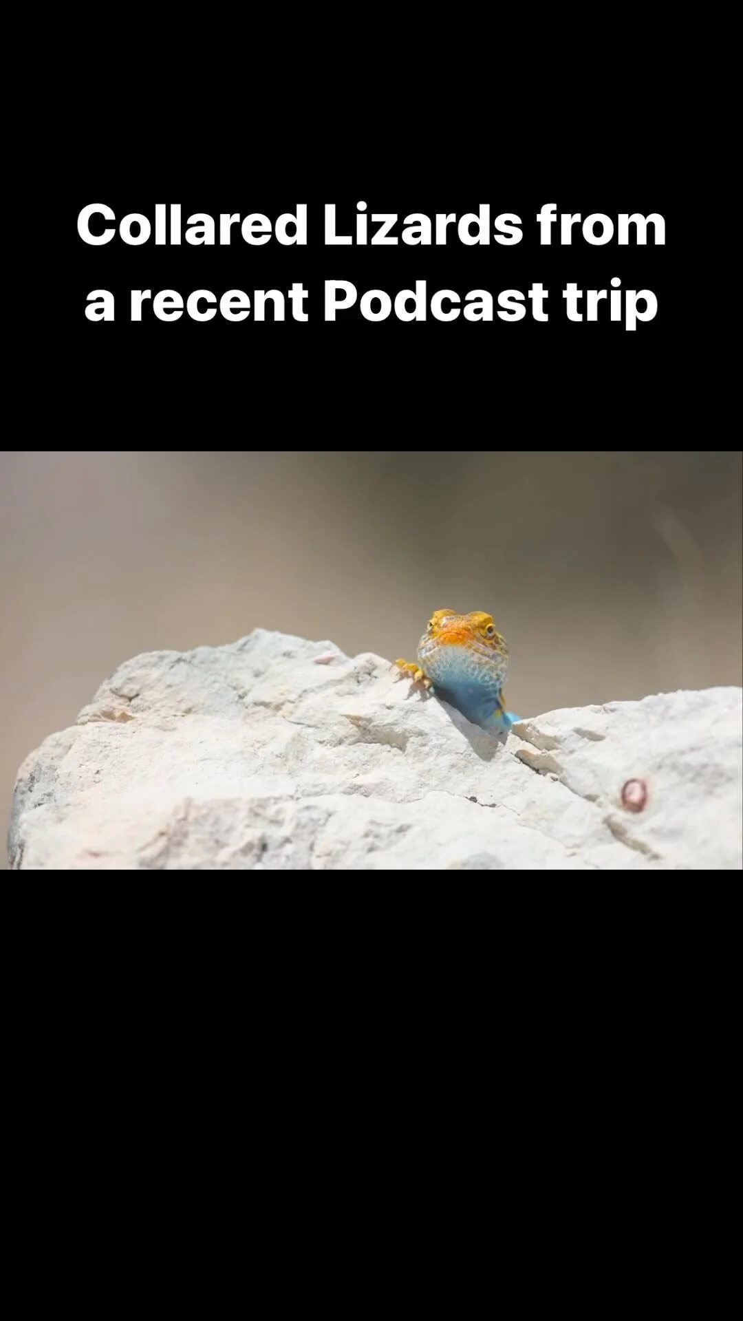 Make Life Epic - Greg Piper — Wild And Exposed Podcast