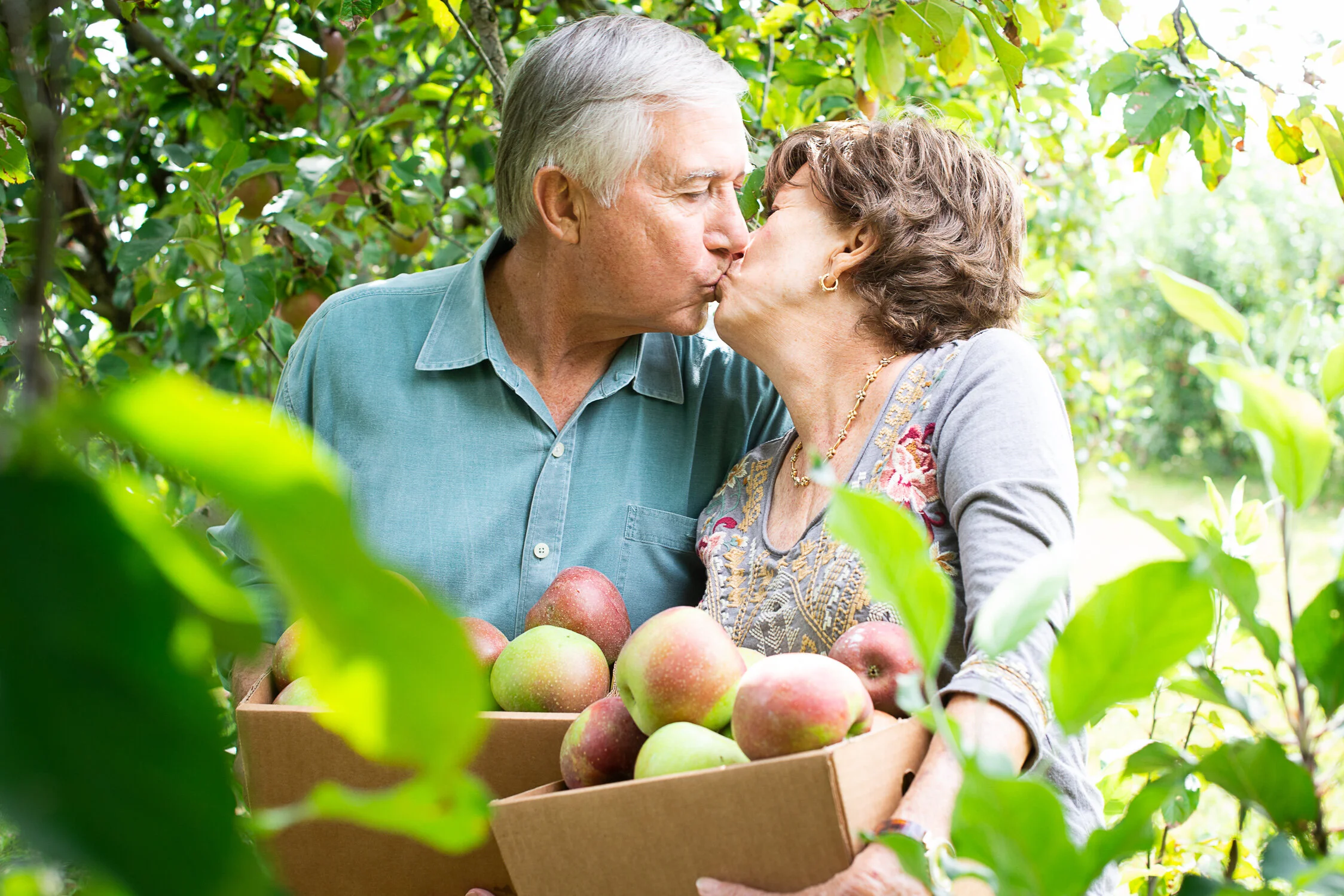 Lake Lure Photography: Family Portrait at Stepp's Hillcrest Apple ...