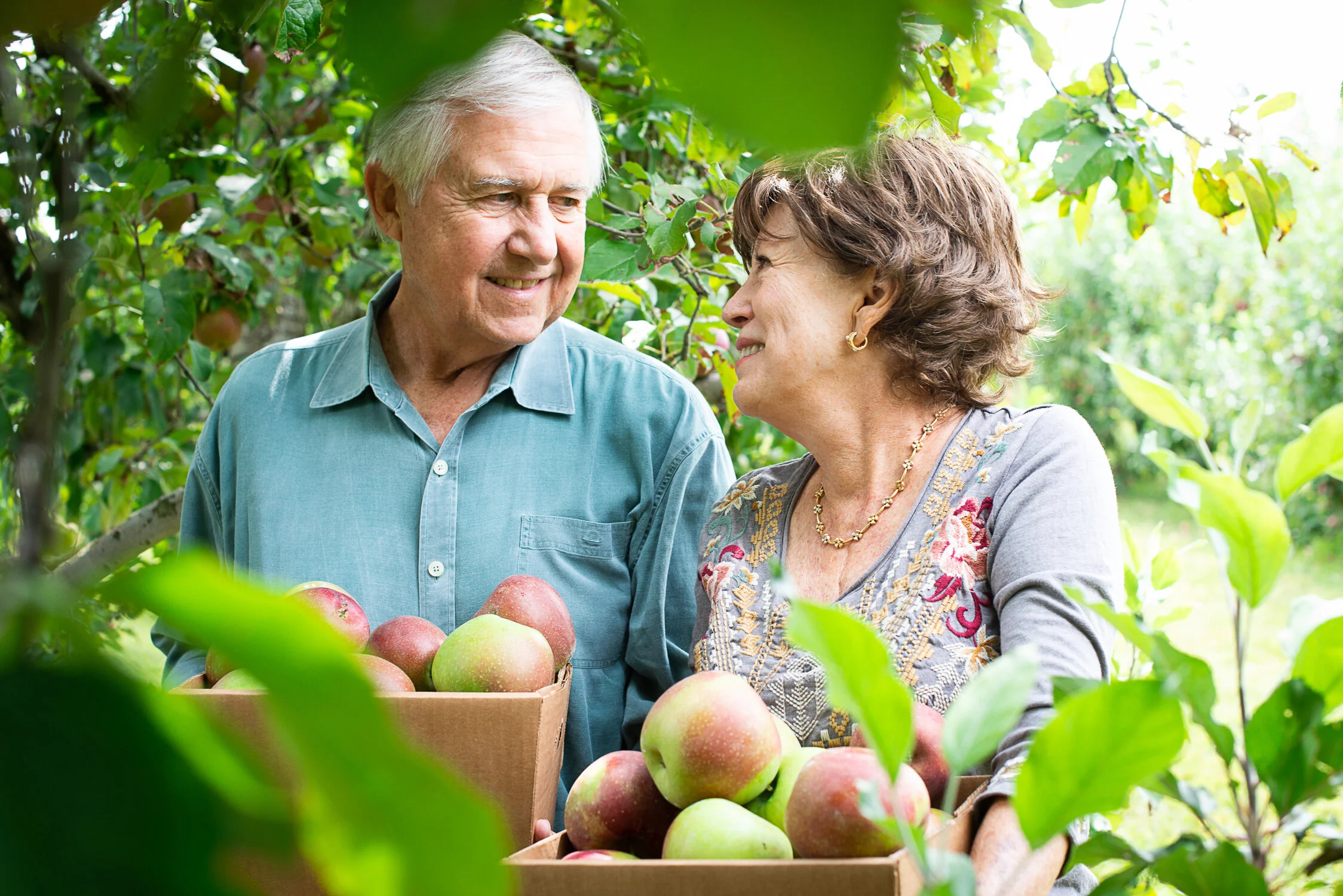 Lake Lure Photography: Family Portrait at Stepp's Hillcrest Apple ...