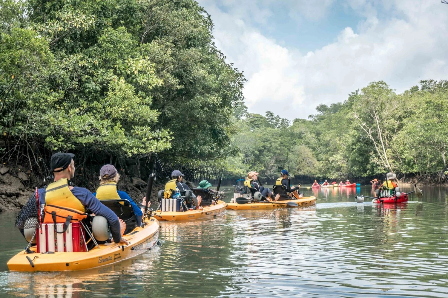 Mangrove Maze — Kayak Fishing Tours