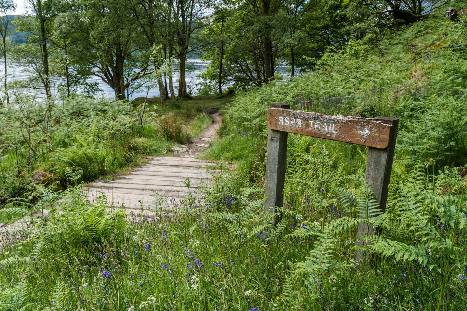 Arklet Falls and RSPB Trail at Inversnaid — See Loch Lomond :: What to ...