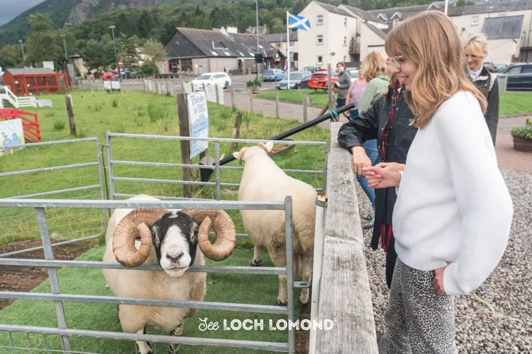 Visit Aberfoyle, Gateway to the Trossachs — See Loch Lomond :: What to ...