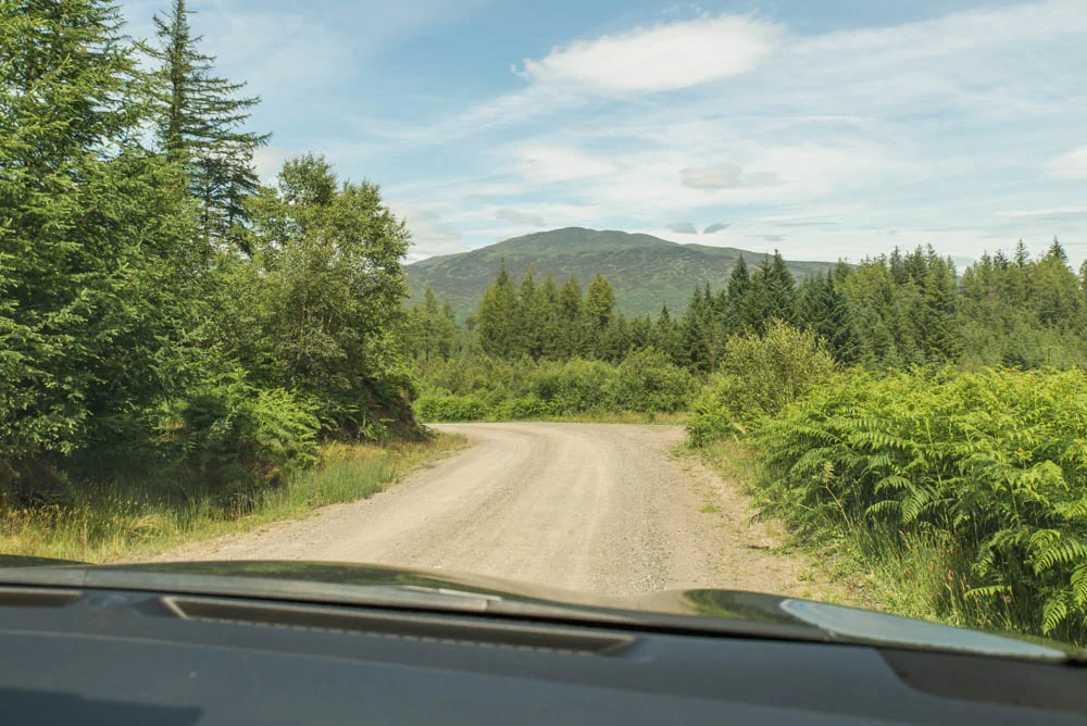Three Lochs Forest Drive — See Loch Lomond :: What to do in Loch Lomond ...