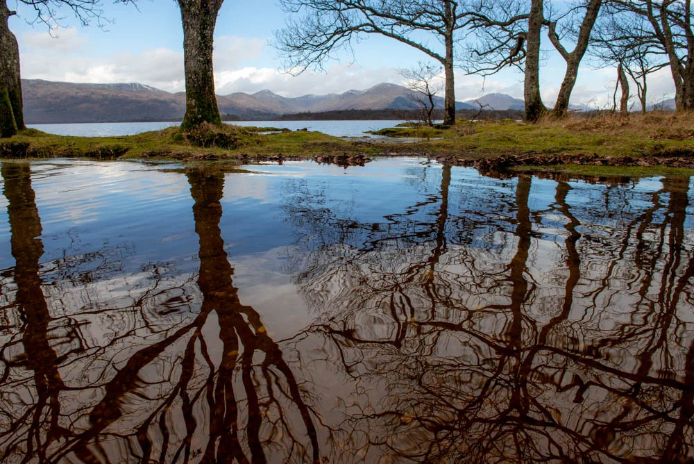 Visit Inchcailloch Island, Loch Lomond — See Loch Lomond :: What to do ...