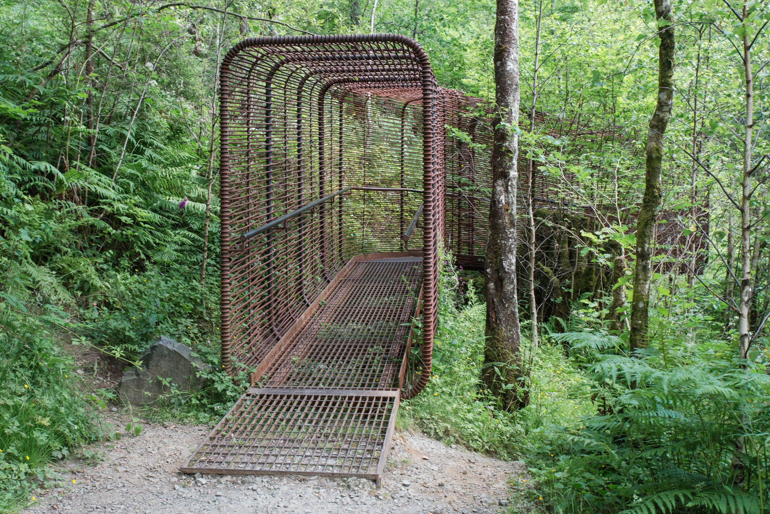 5 Special Loch Lomond & Trossachs Views — See Loch Lomond :: What to do ...