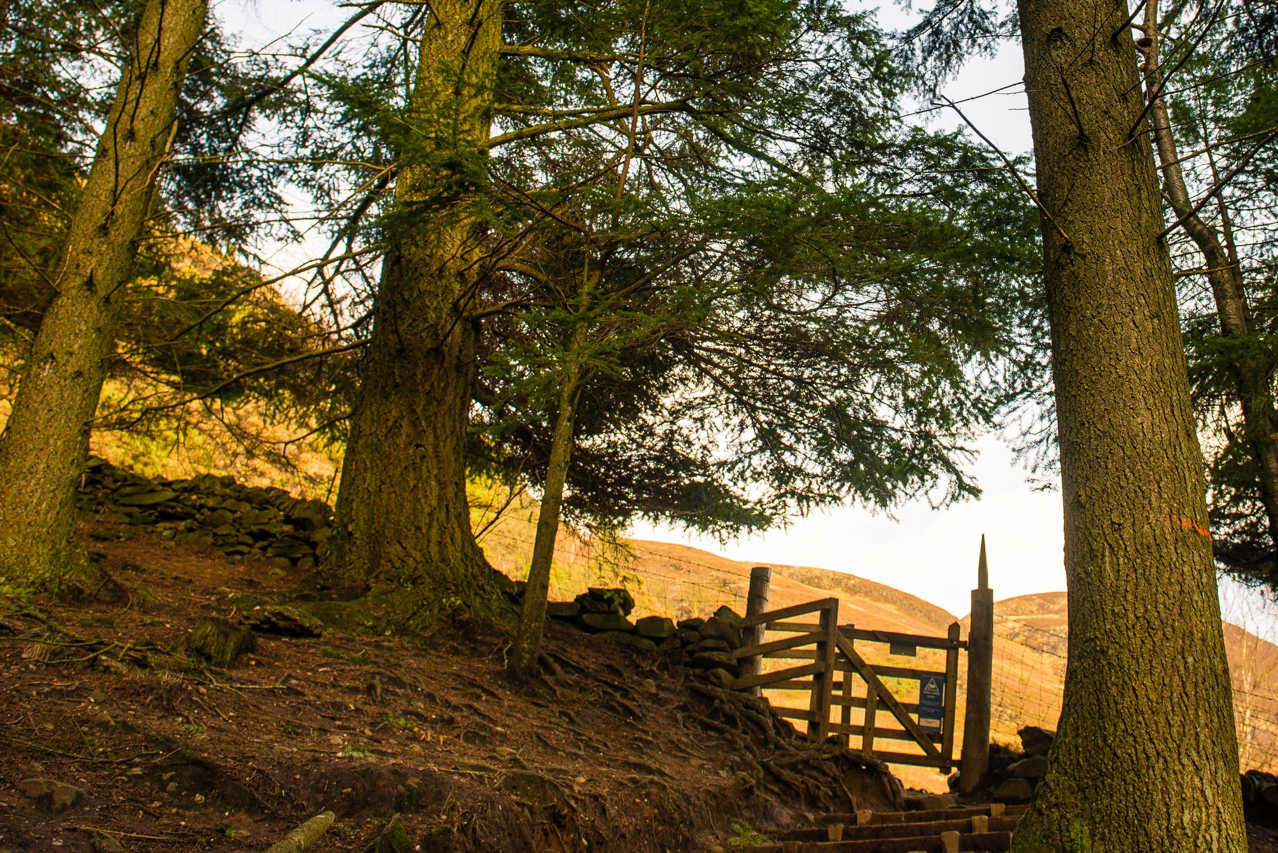 Climb Conic Hill, Balmaha, Loch Lomond — See Loch Lomond :: What to do ...