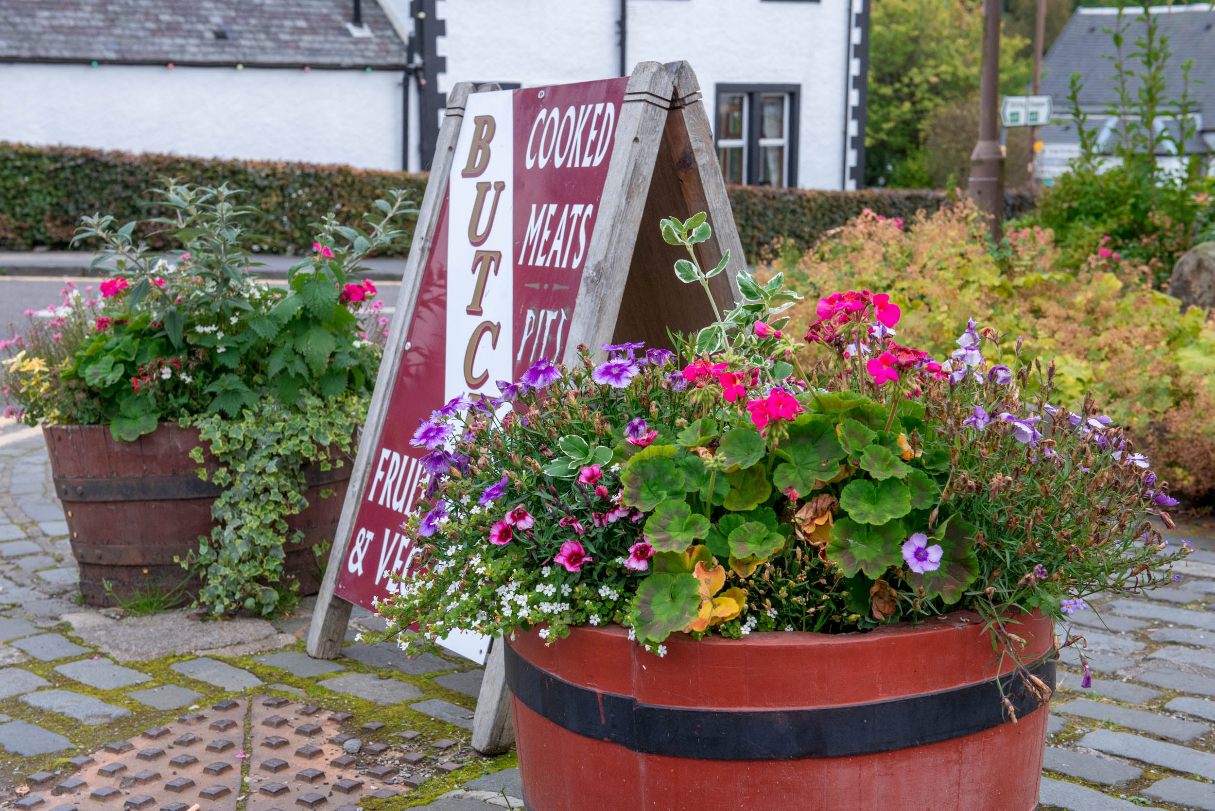 Visit Drymen East Loch Lomond — See Loch Lomond :: What to do in Loch ...