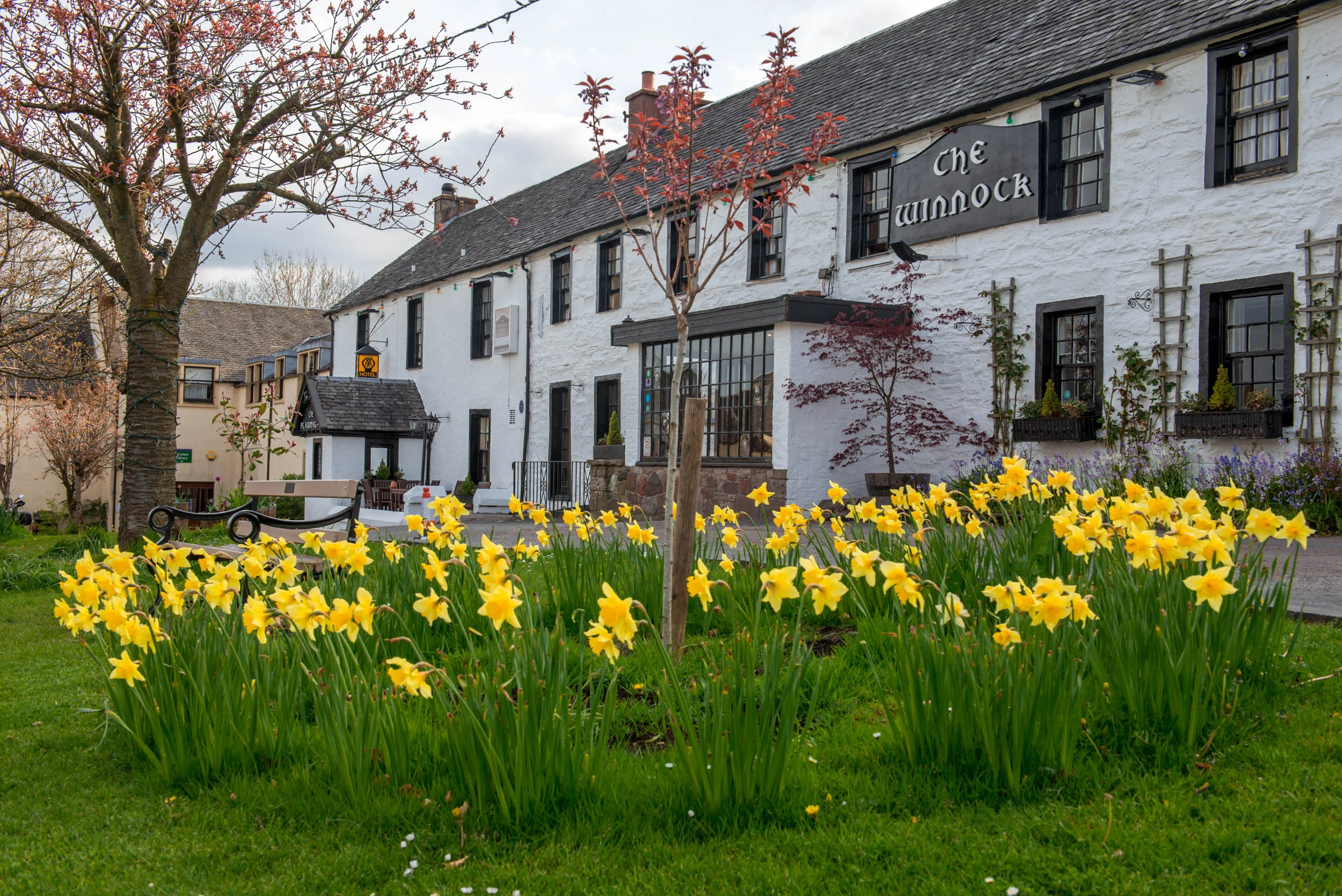 Visit Balloch, Gateway to Loch Lomond — See Loch Lomond :: What to do ...