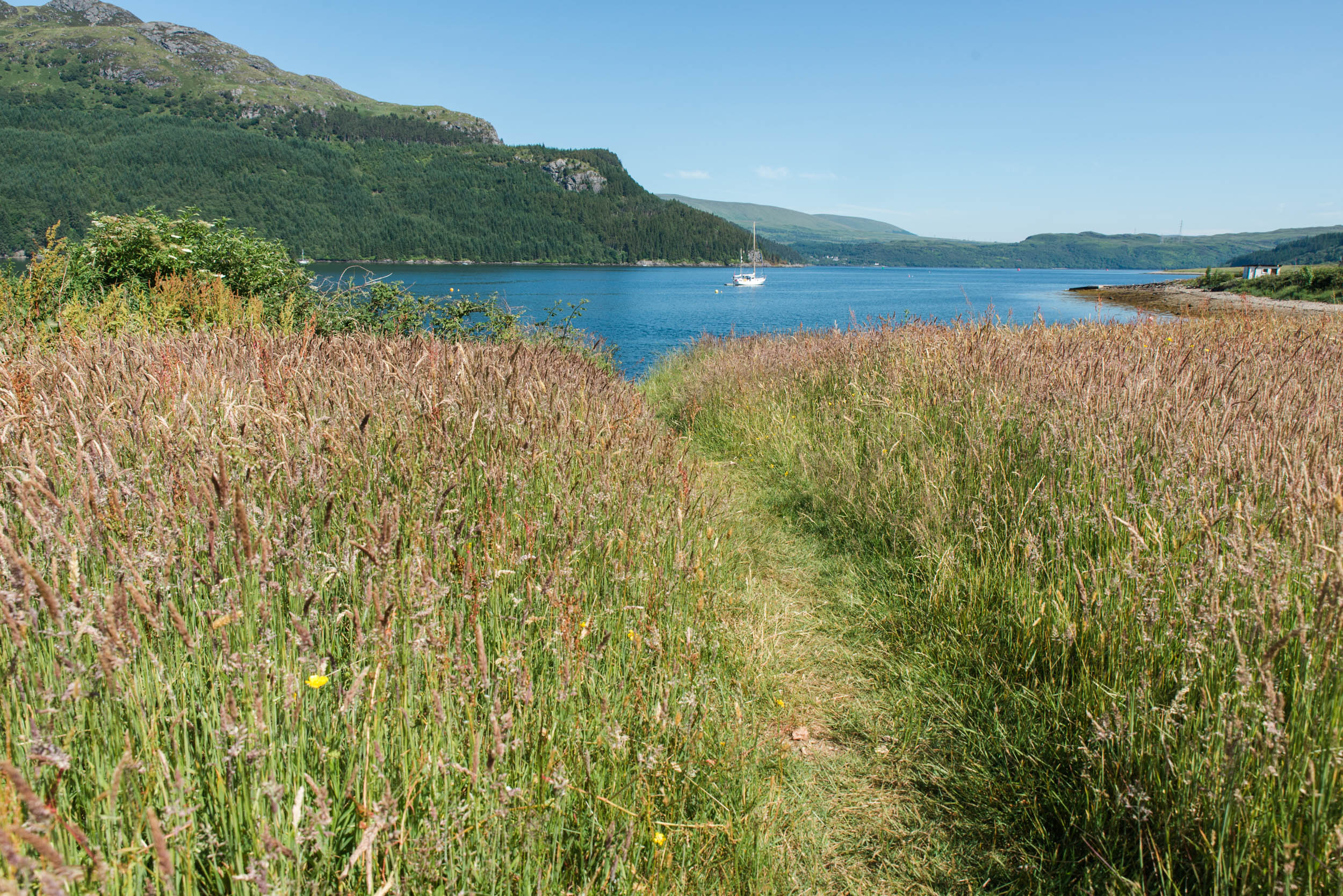 Visit Carrick Castle on Loch Goil — See Loch Lomond
