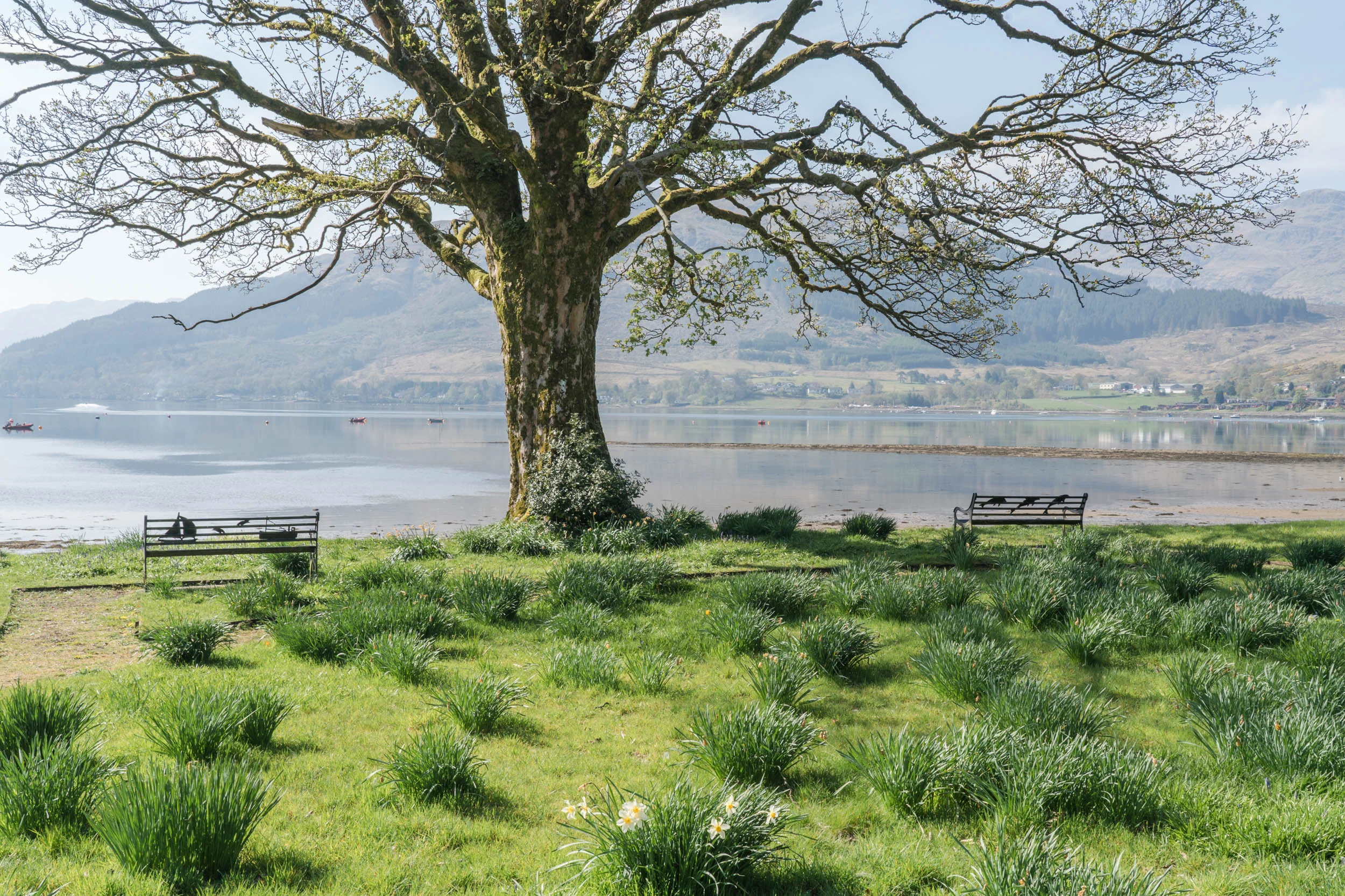 Visit Lochgoilhead, Argyll, Cowal Peninsula — See Loch Lomond :: What ...