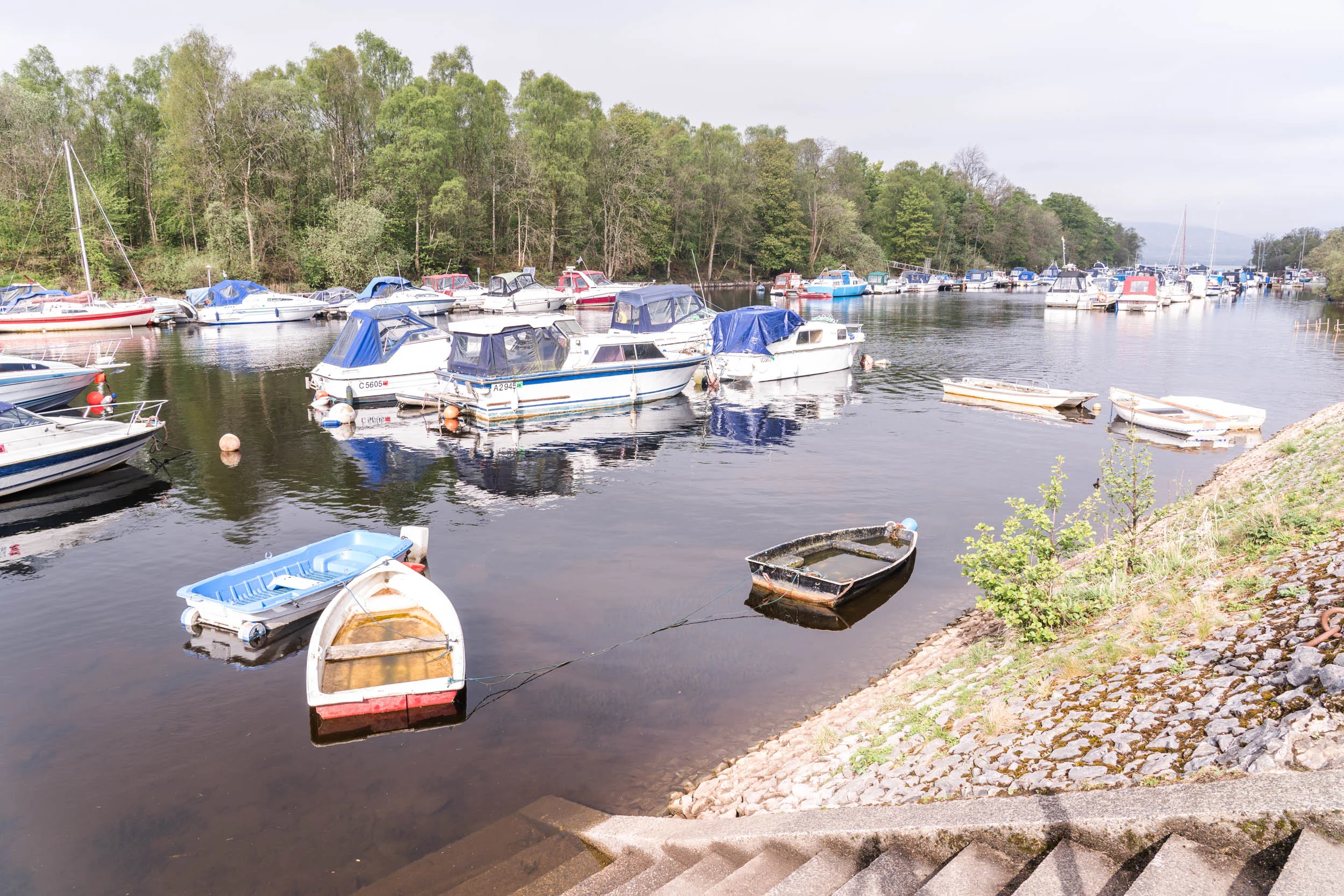 Balloch Castle Country Park, Loch Lomond — See Loch Lomond :: What to ...