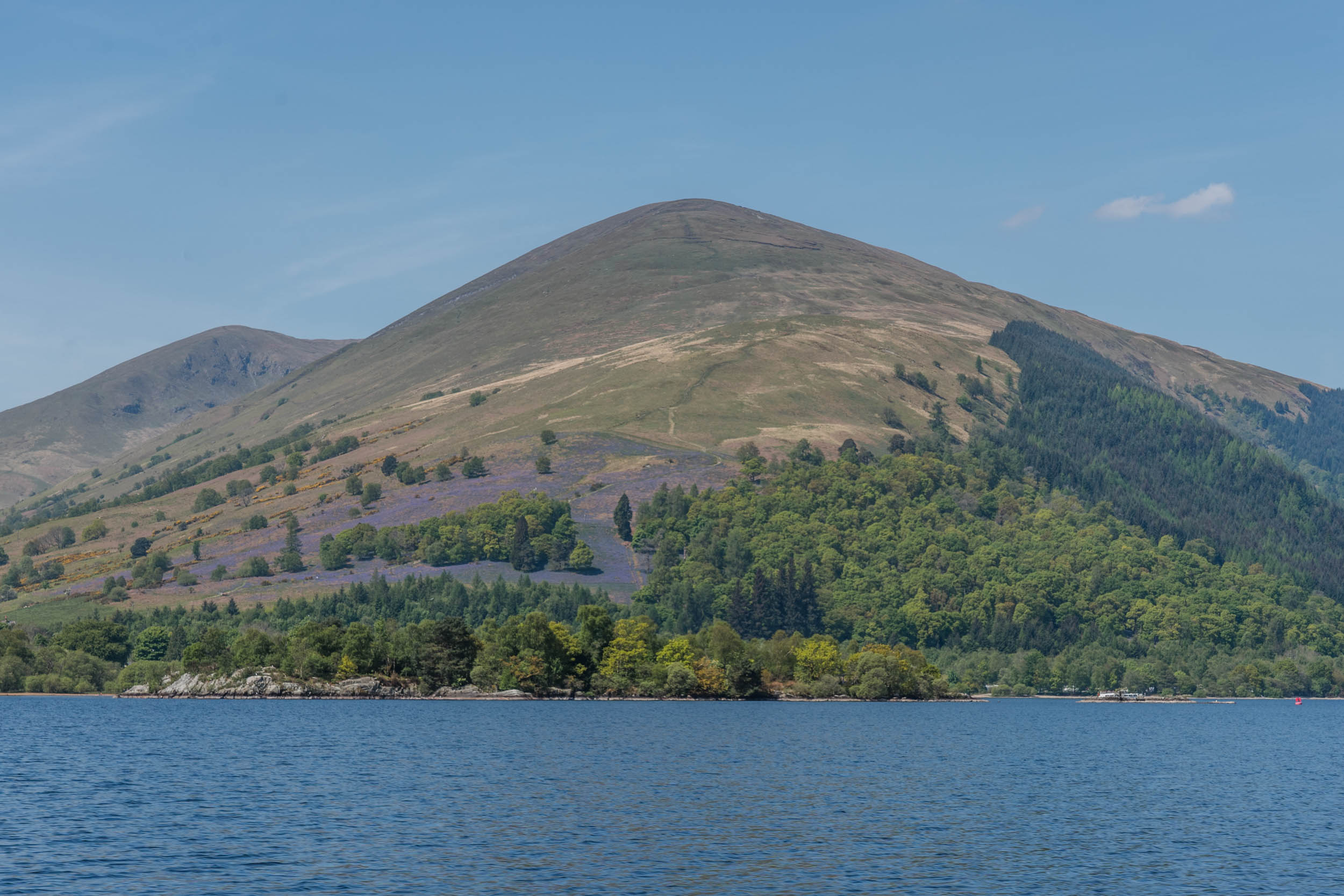 See bluebells in Loch Lomond & Trossachs — See Loch Lomond :: What to ...