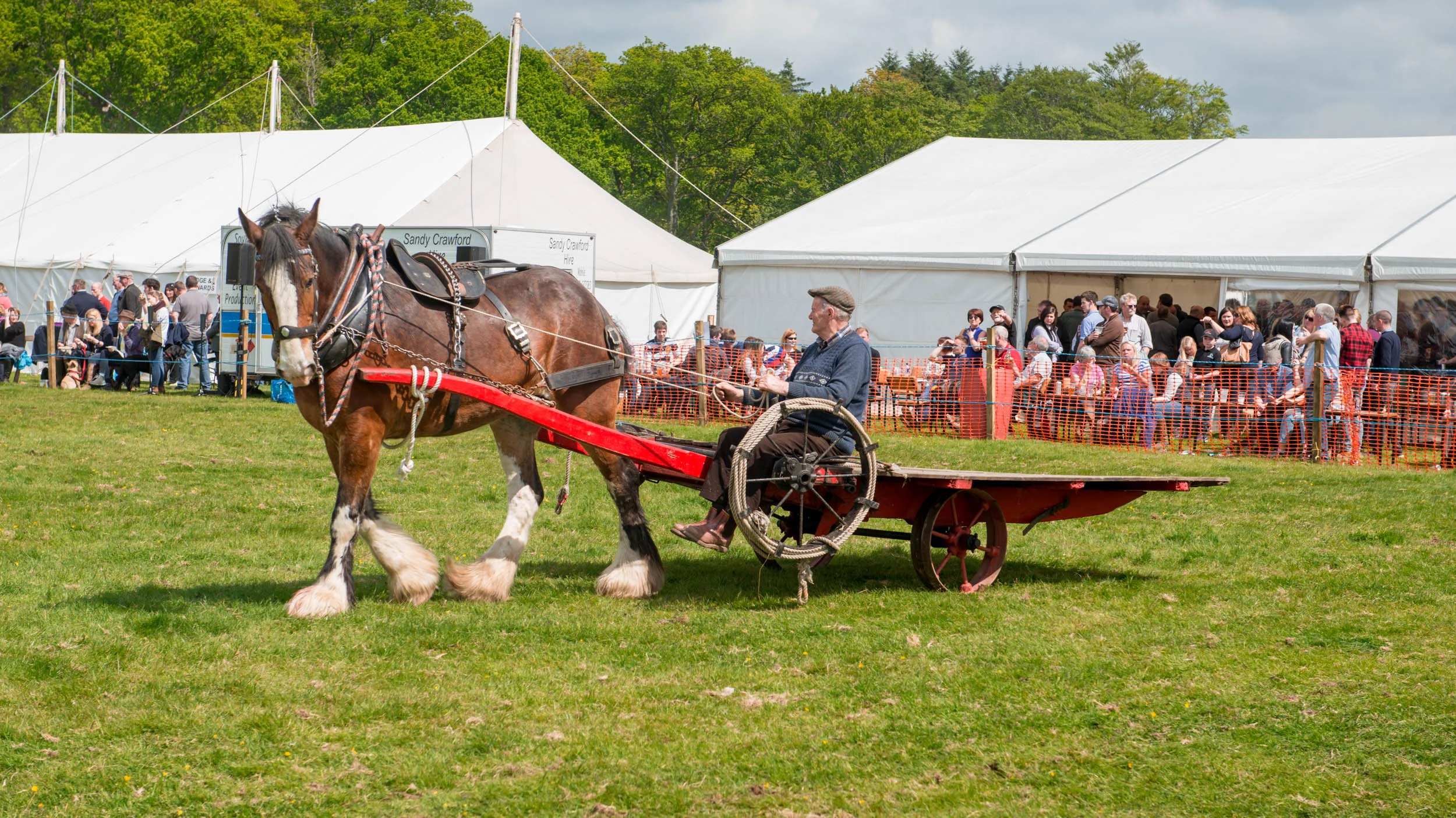 What to see and do at Drymen Show — See Loch Lomond :: What to do in ...