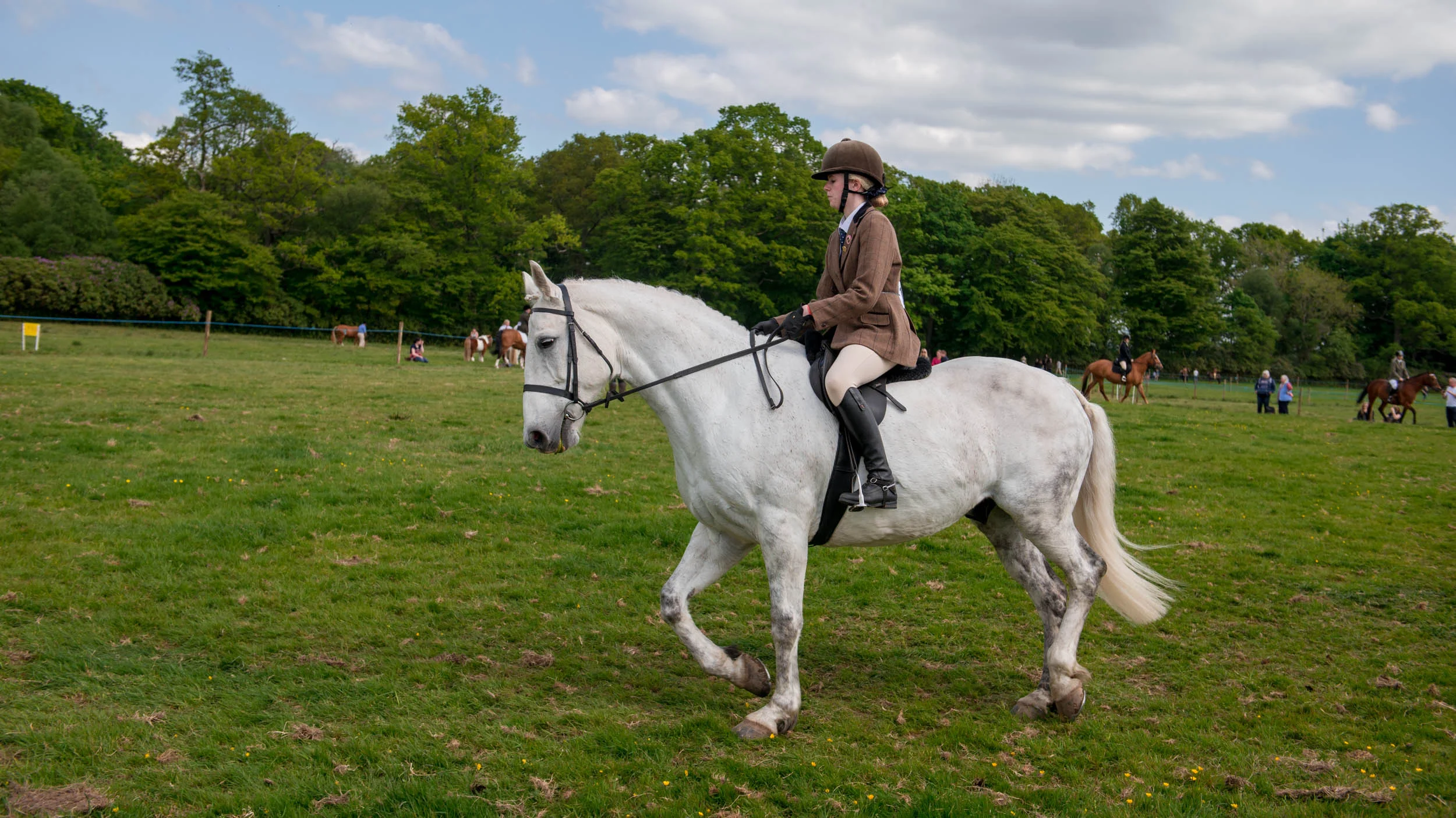 What to see and do at Drymen Show — See Loch Lomond :: What to do in ...