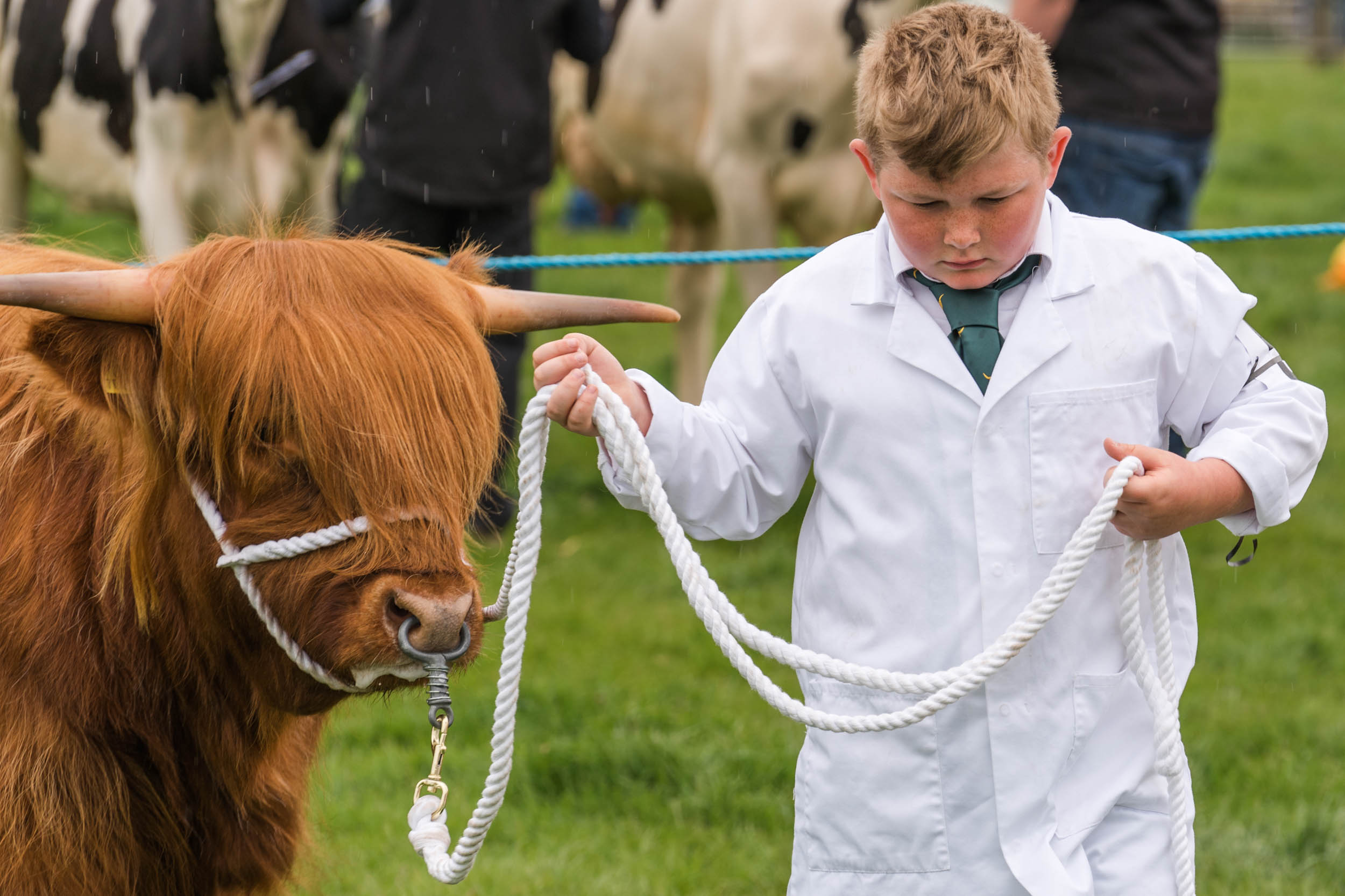 What to see and do at Drymen Show — See Loch Lomond :: What to do in ...