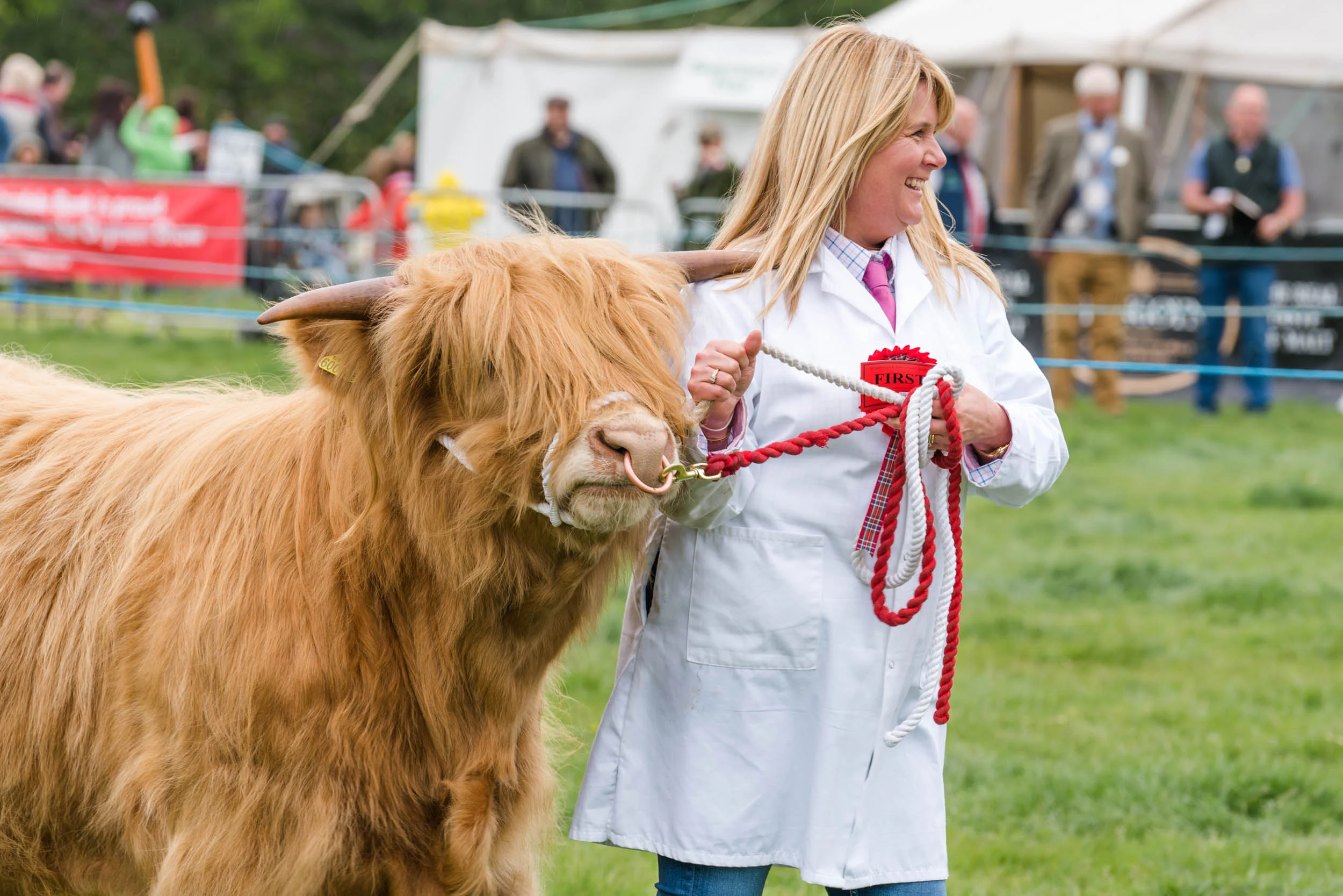 What to see and do at Drymen Show — See Loch Lomond :: What to do in ...
