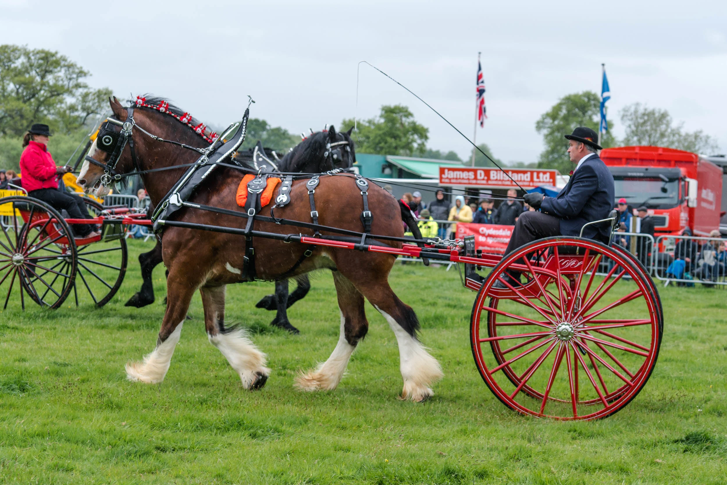 What to see and do at Drymen Show — See Loch Lomond :: What to do in ...