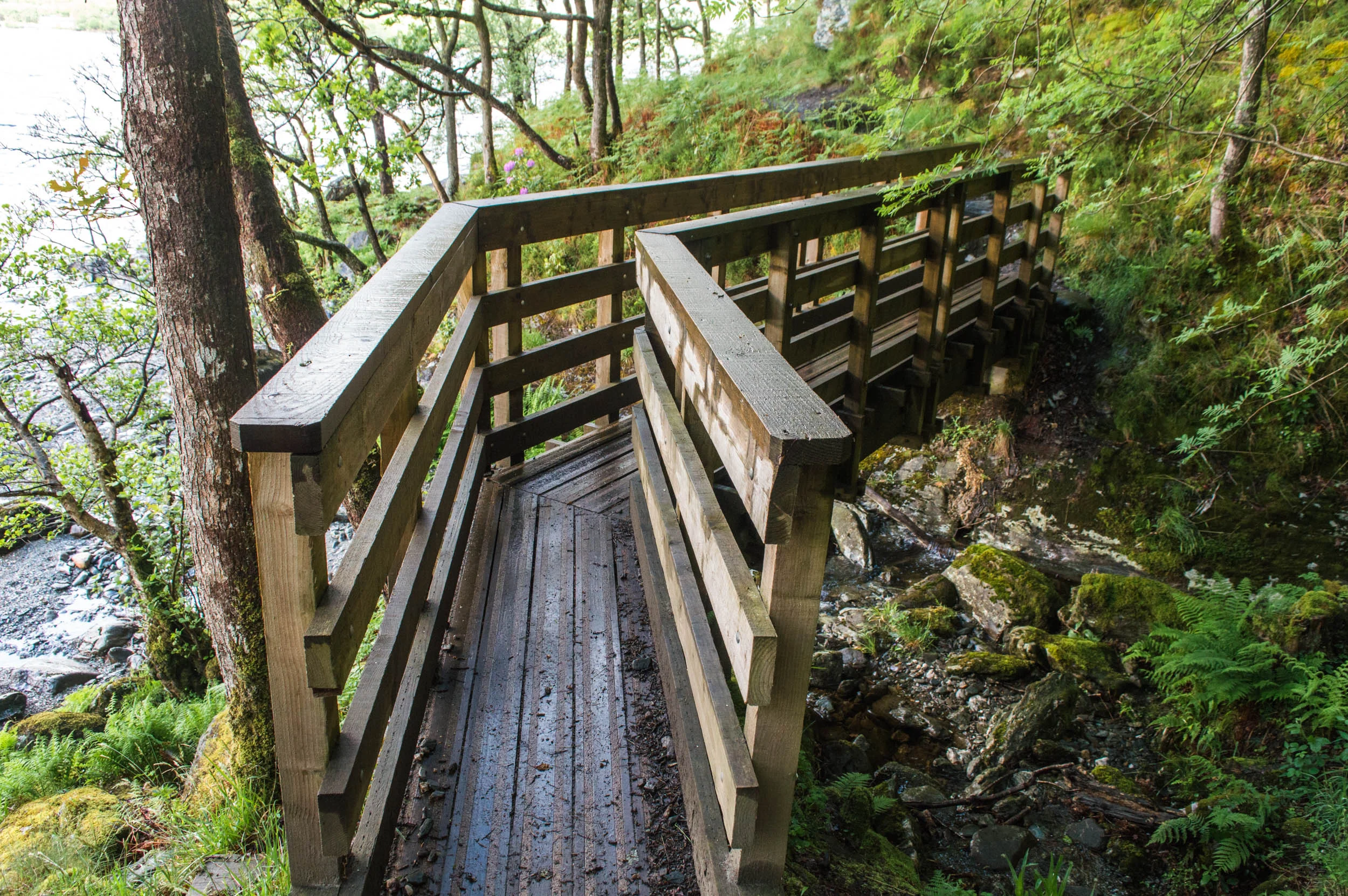 Walking from Rowardennan to Inversnaid — See Loch Lomond :: What to do ...