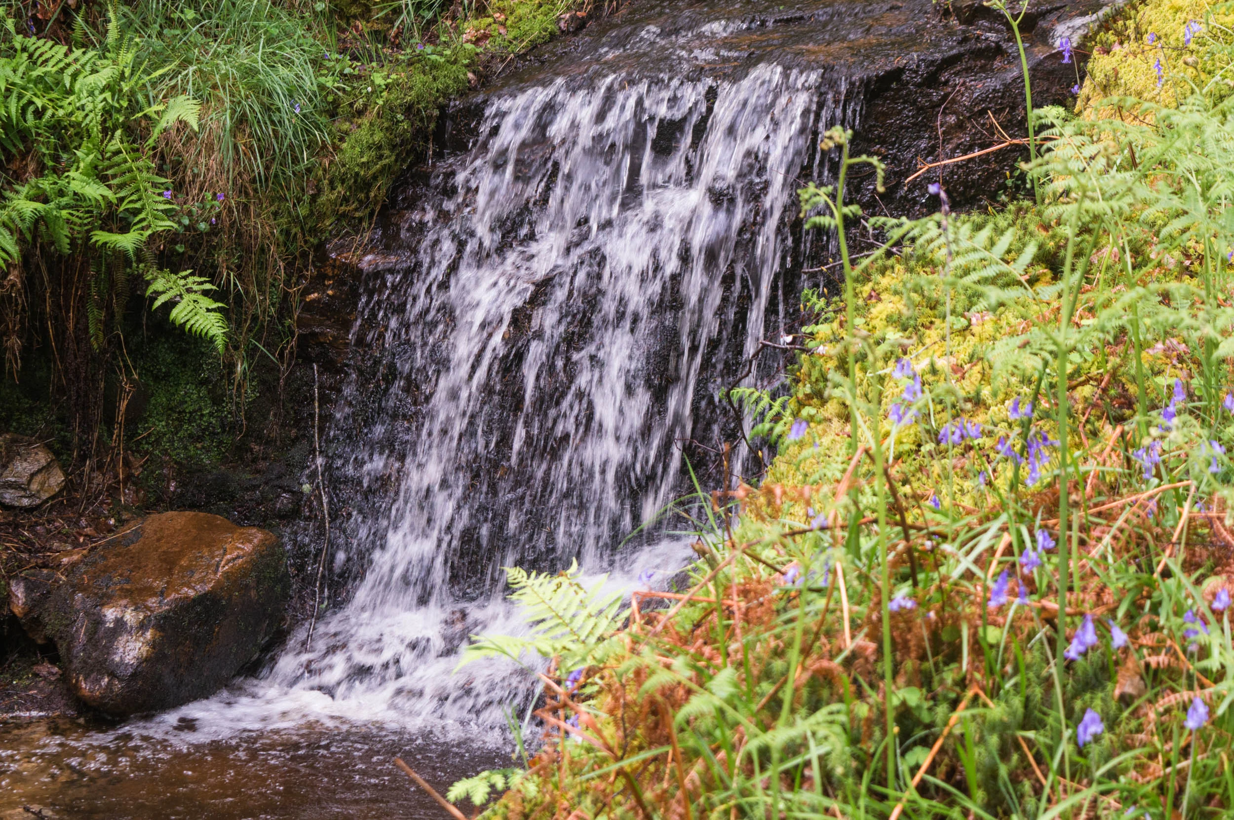 Walking from Rowardennan to Inversnaid — See Loch Lomond