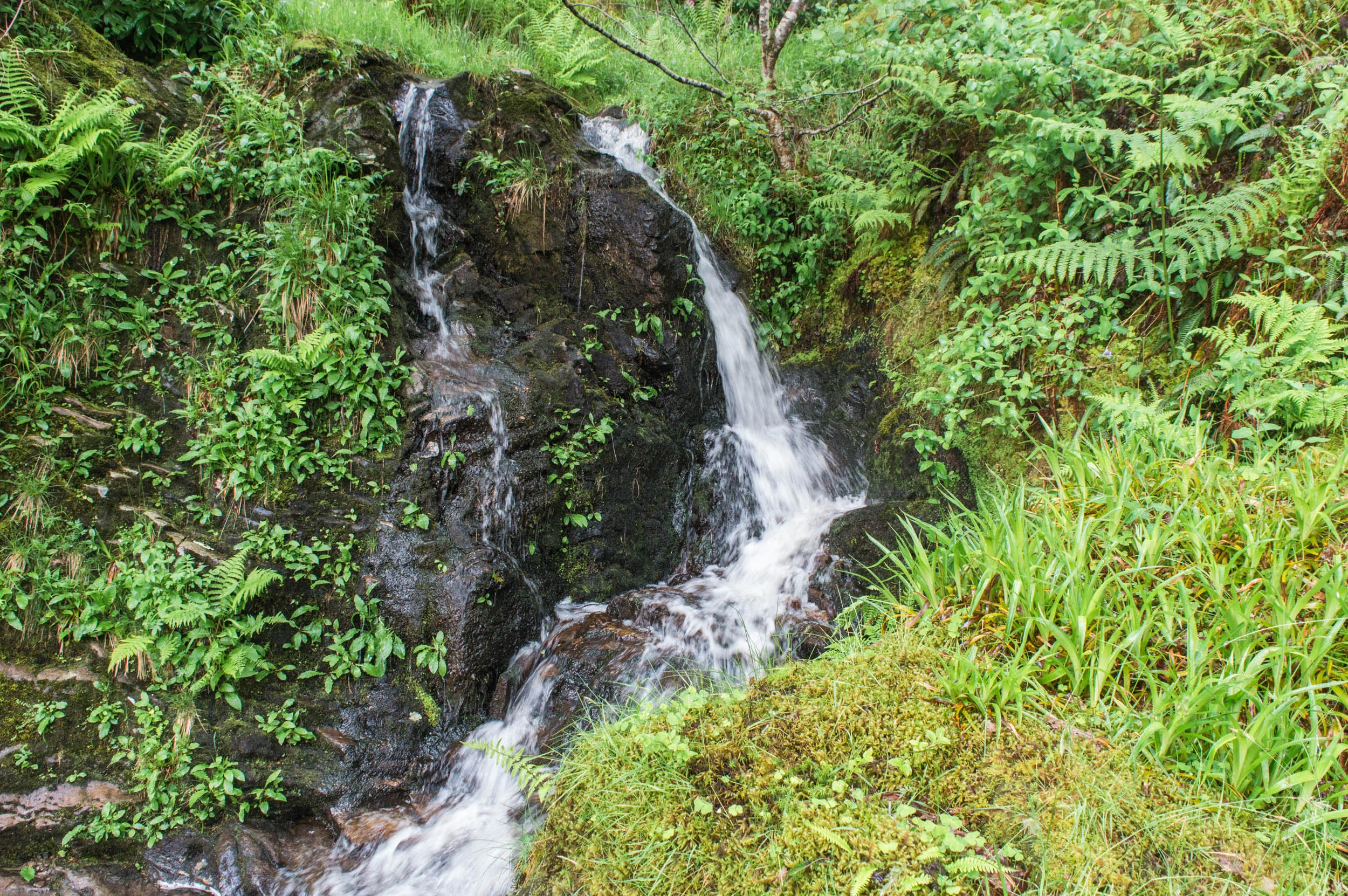 Walking from Rowardennan to Inversnaid — See Loch Lomond