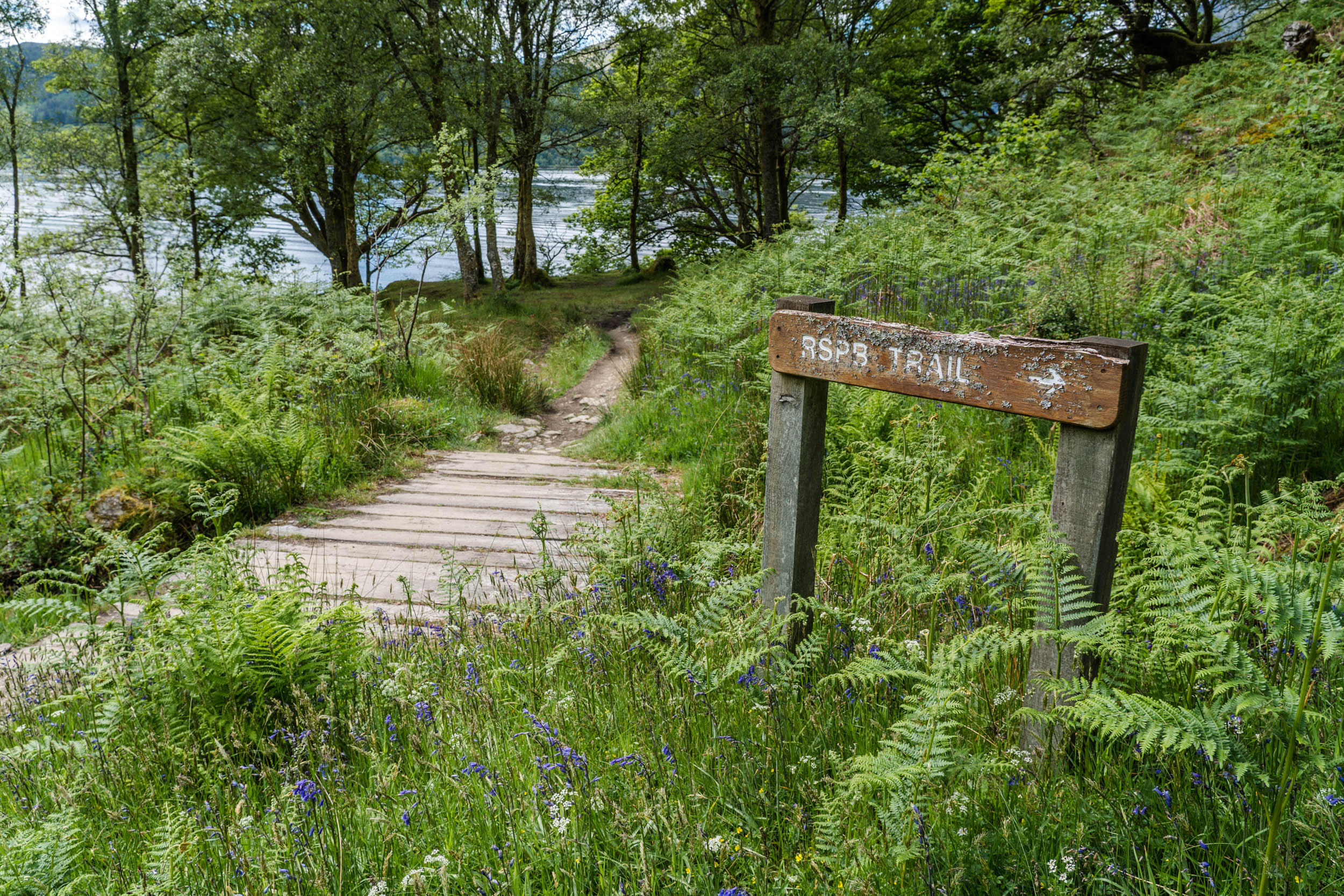 West Highland Way Inversnaid to Inverarnan — See Loch Lomond :: What to ...