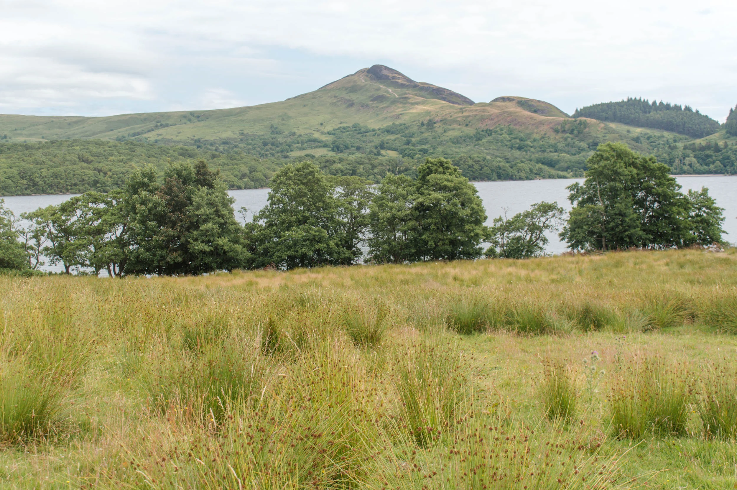 A list of Loch Lomond's 23 Islands — See Loch Lomond :: What to do in ...