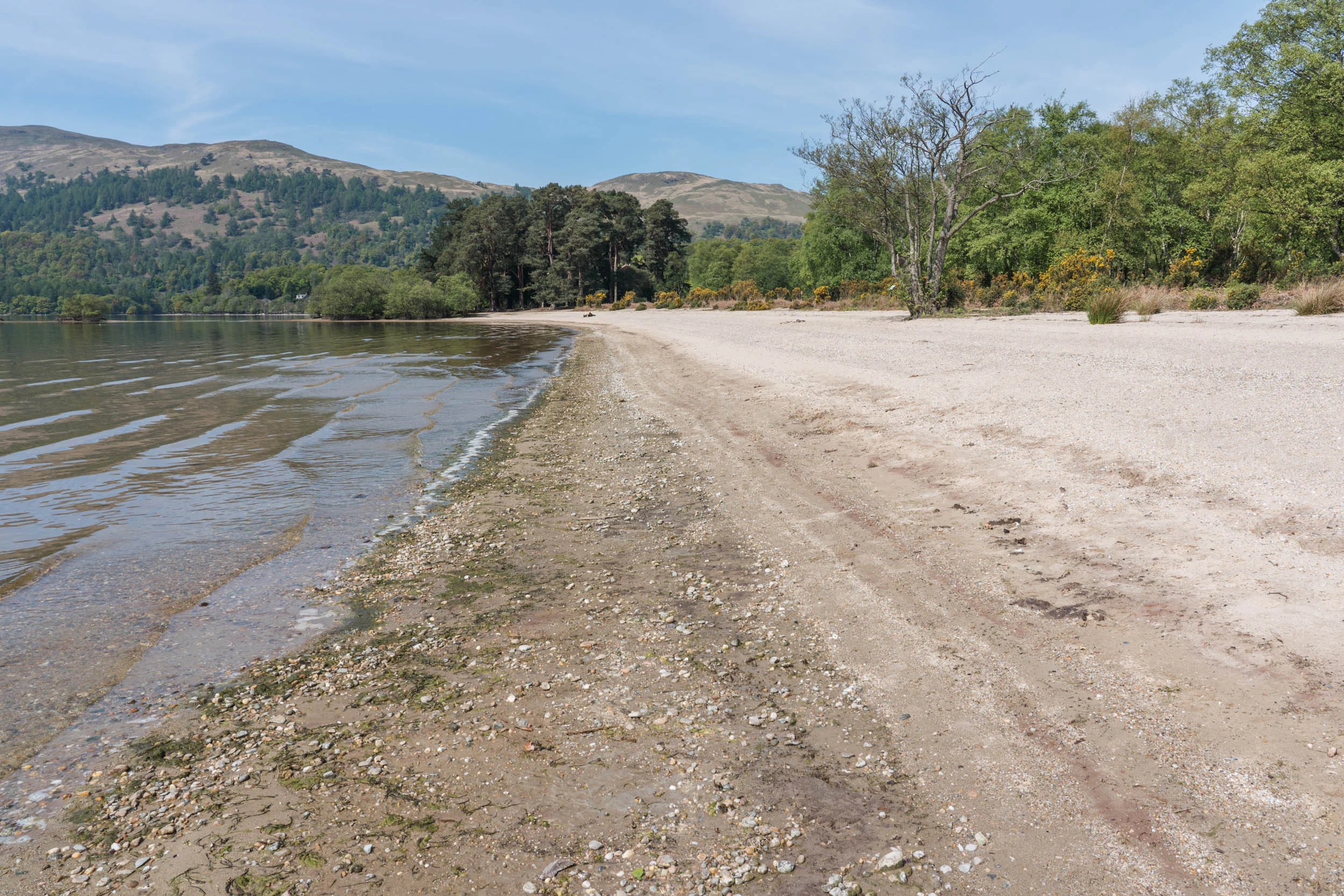 A list of Loch Lomond's 23 Islands — See Loch Lomond :: What to do in ...