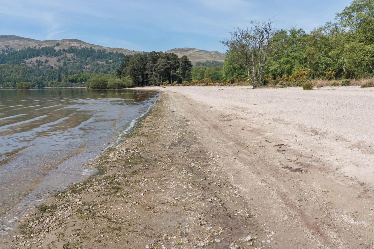 A list of Loch Lomond's 23 Islands — See Loch Lomond :: What to do in ...