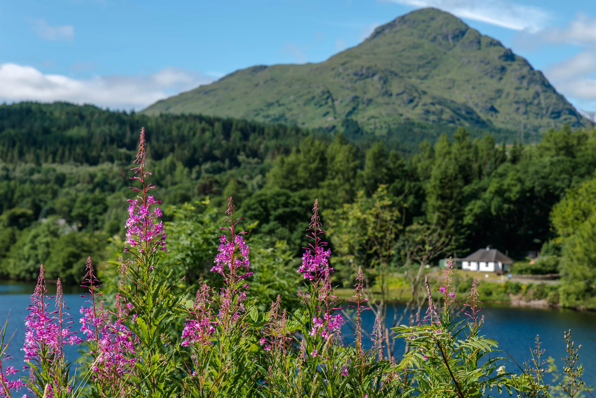 Visit Inveruglas on Loch Lomond — See Loch Lomond :: What to do in Loch ...