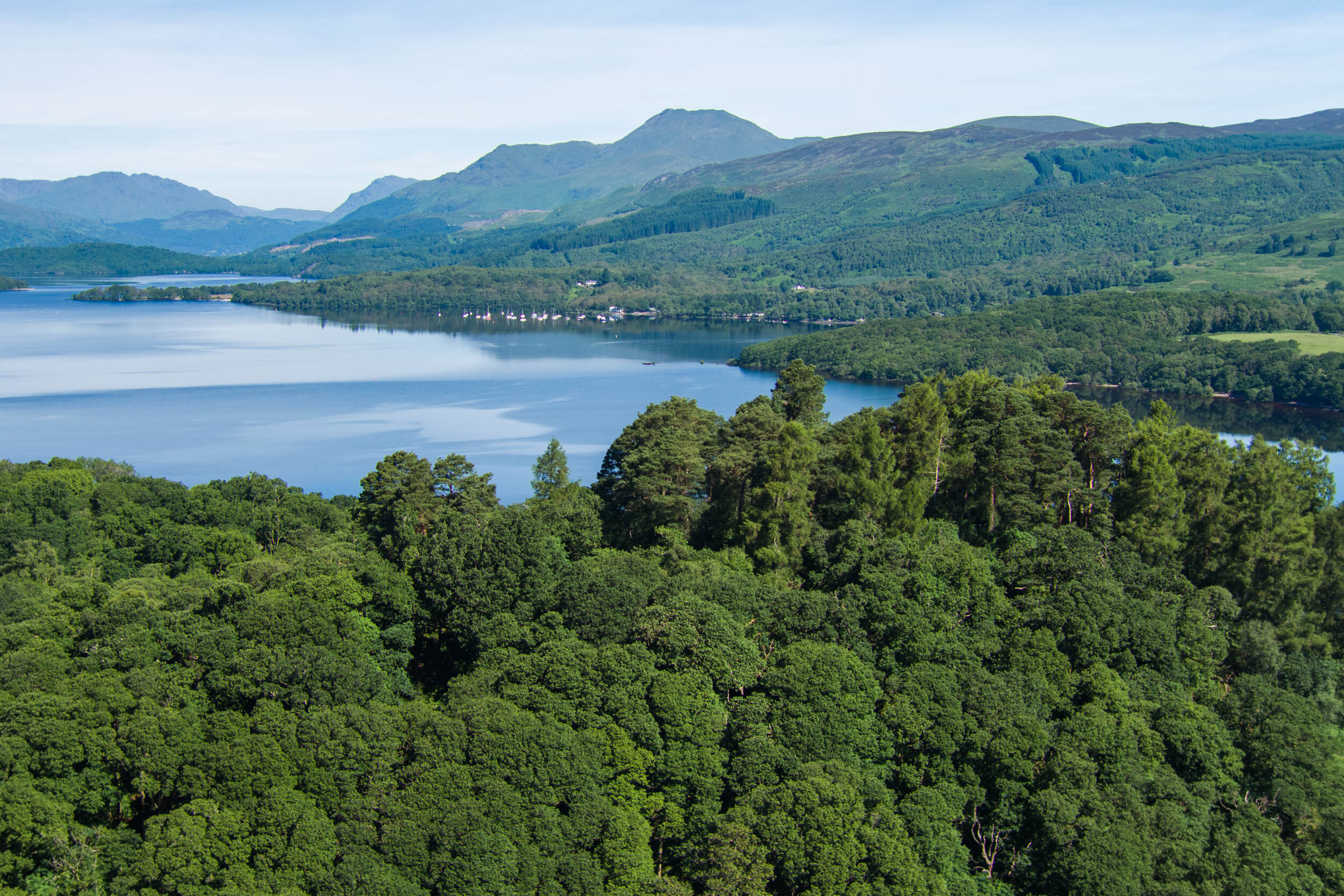 Walking from Rowardennan to Inversnaid — See Loch Lomond :: What to do ...